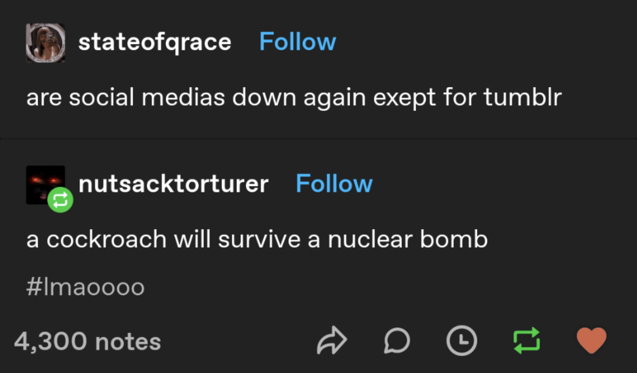 Tumblr and Cockroach | Scrolller