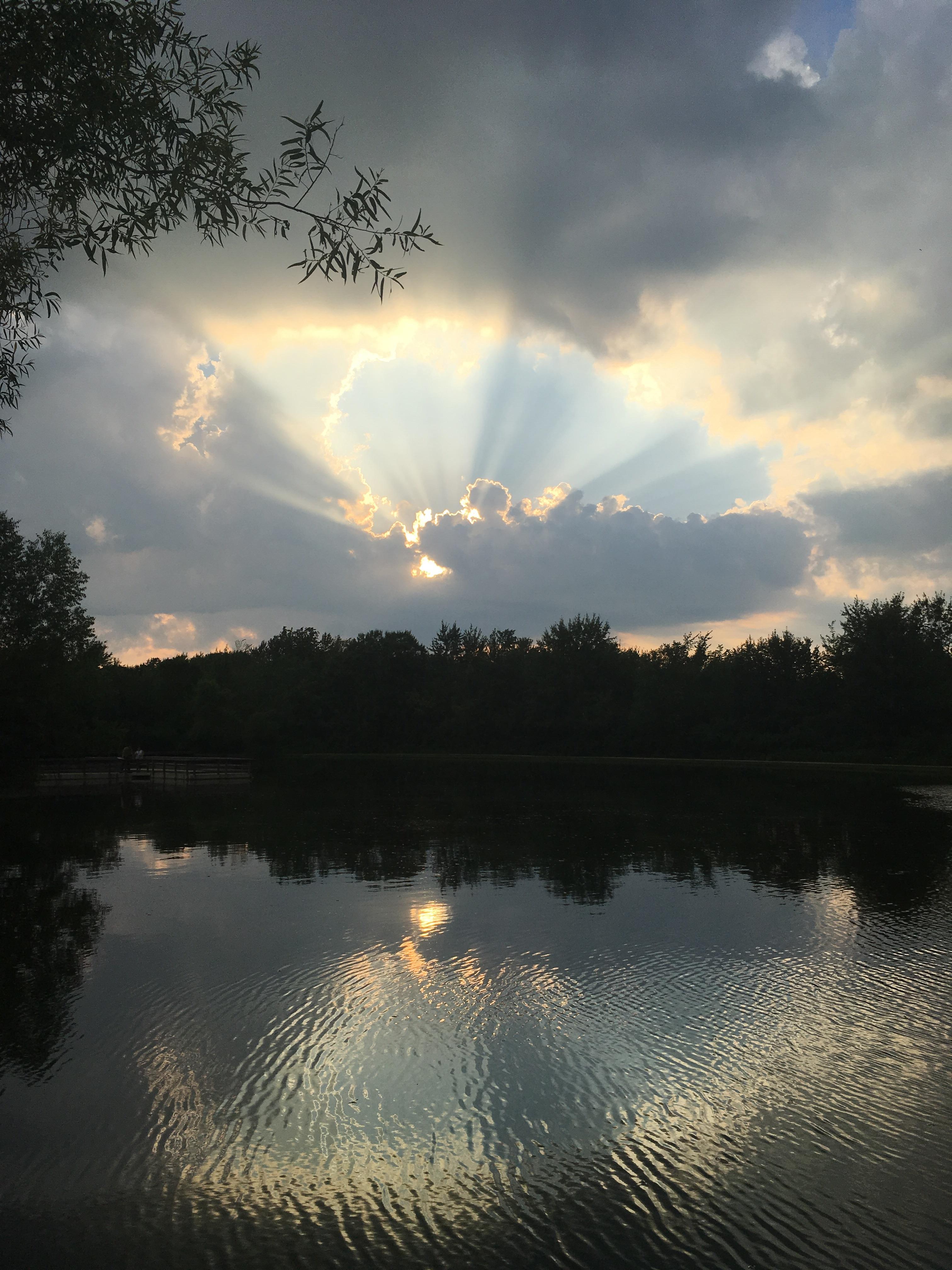 Turtle pond last evening | Scrolller
