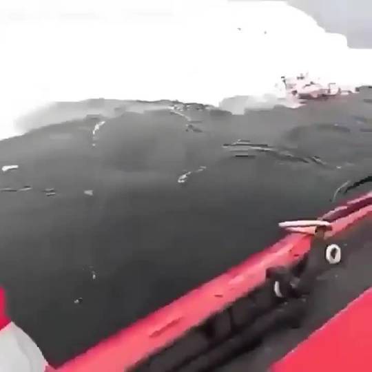 Inspection Time! | Scrolller