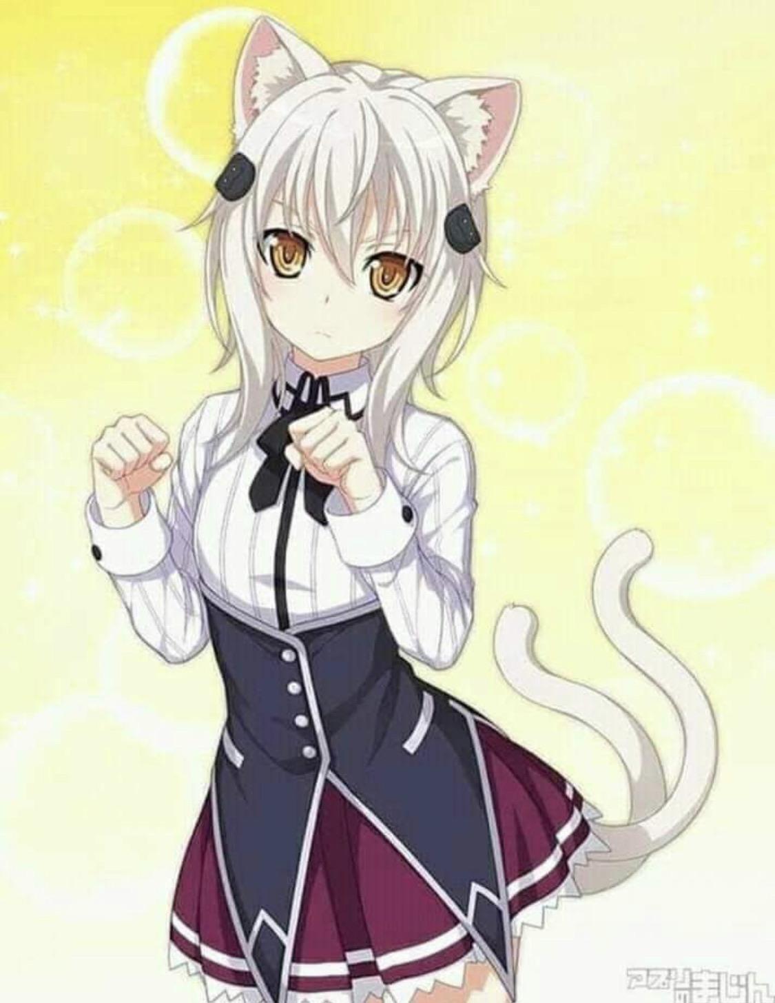 Twin tails | Scrolller