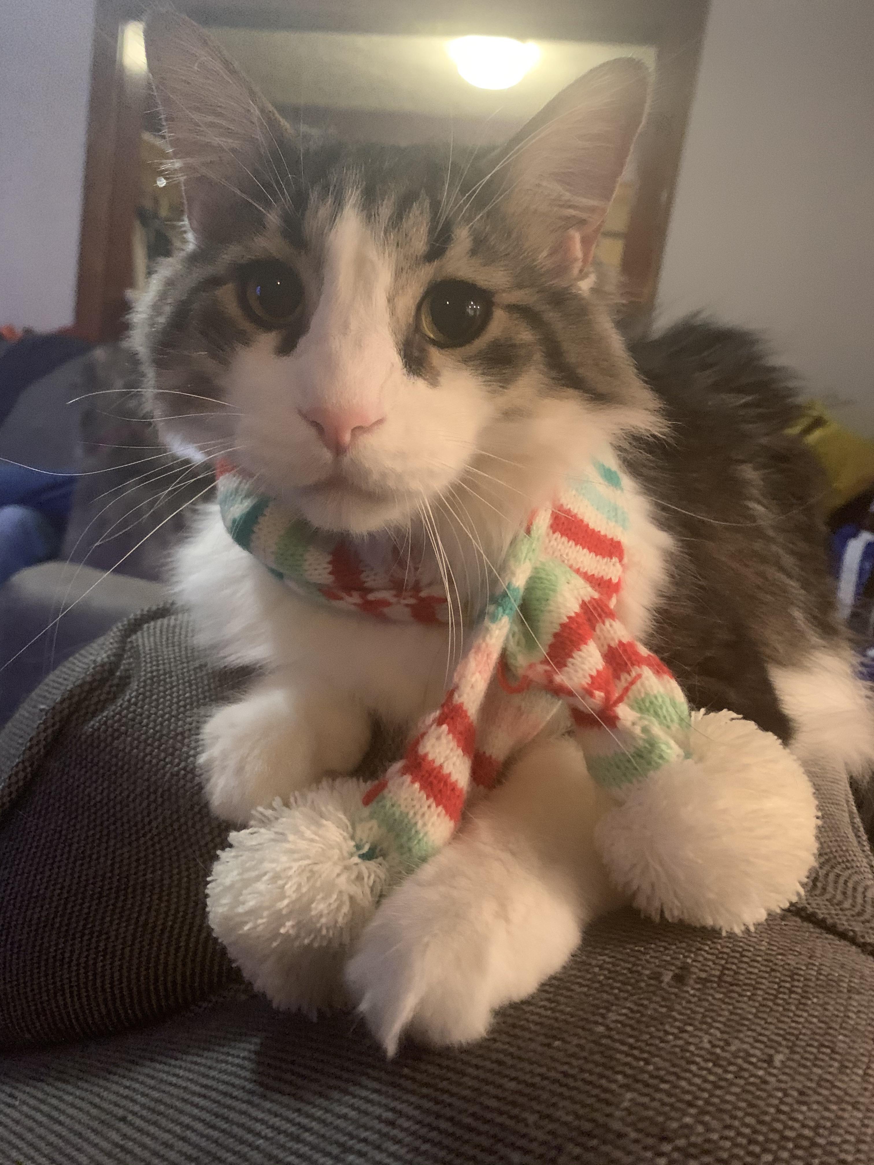 Twister keepingtoastylast winter | Scrolller