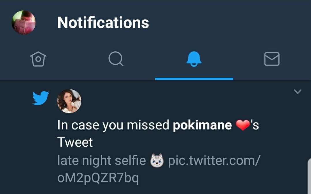 Twitter really wanted me to see this picture of poki | Scrolller