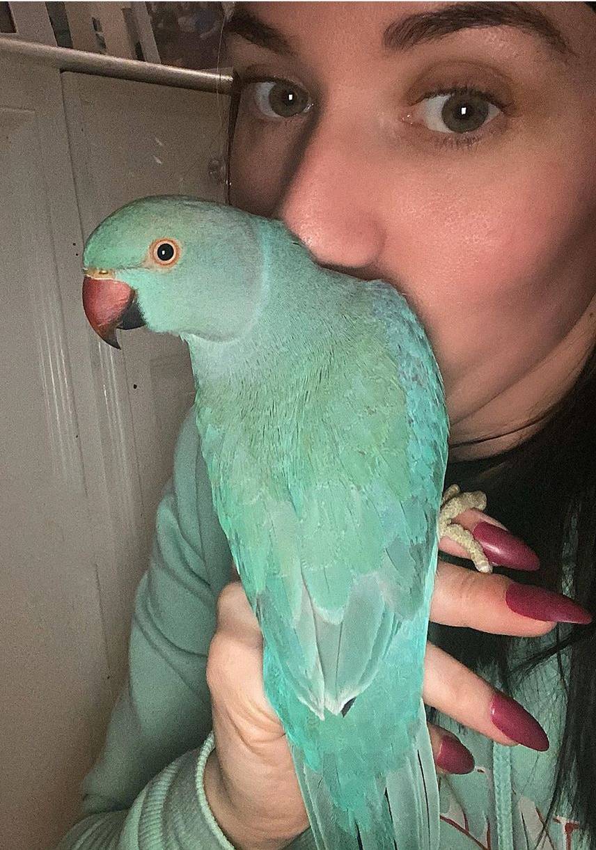 Two birds | Scrolller