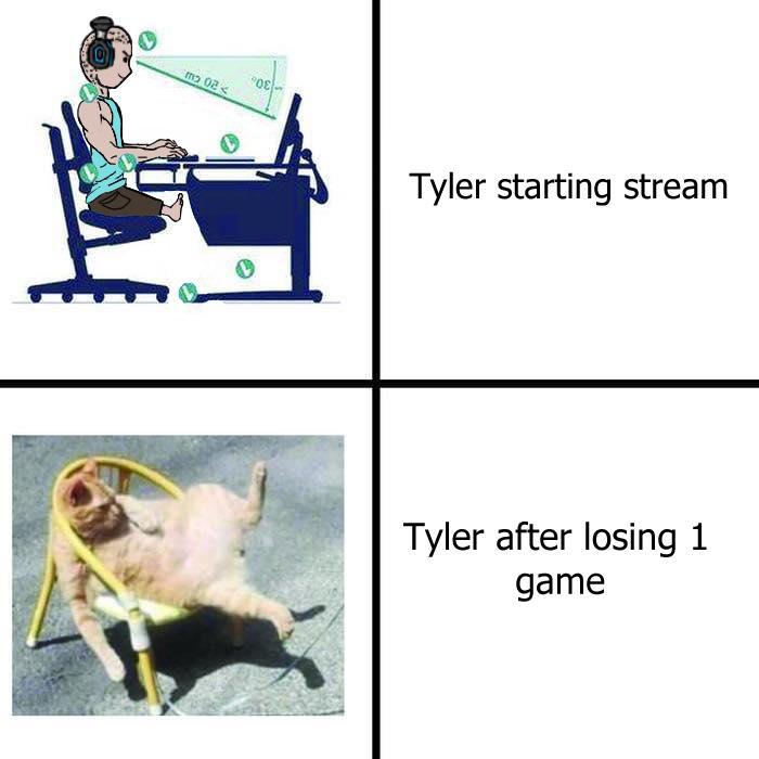 tyler every stream | Scrolller