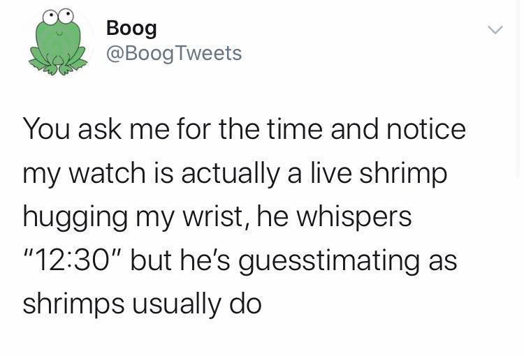 Typical shrimp watch | Scrolller