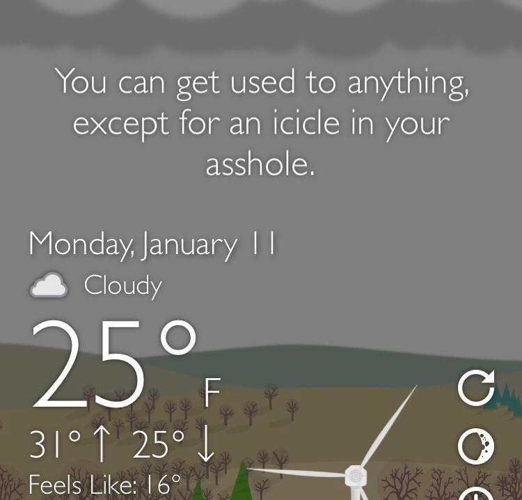Typical WTForecast | Scrolller
