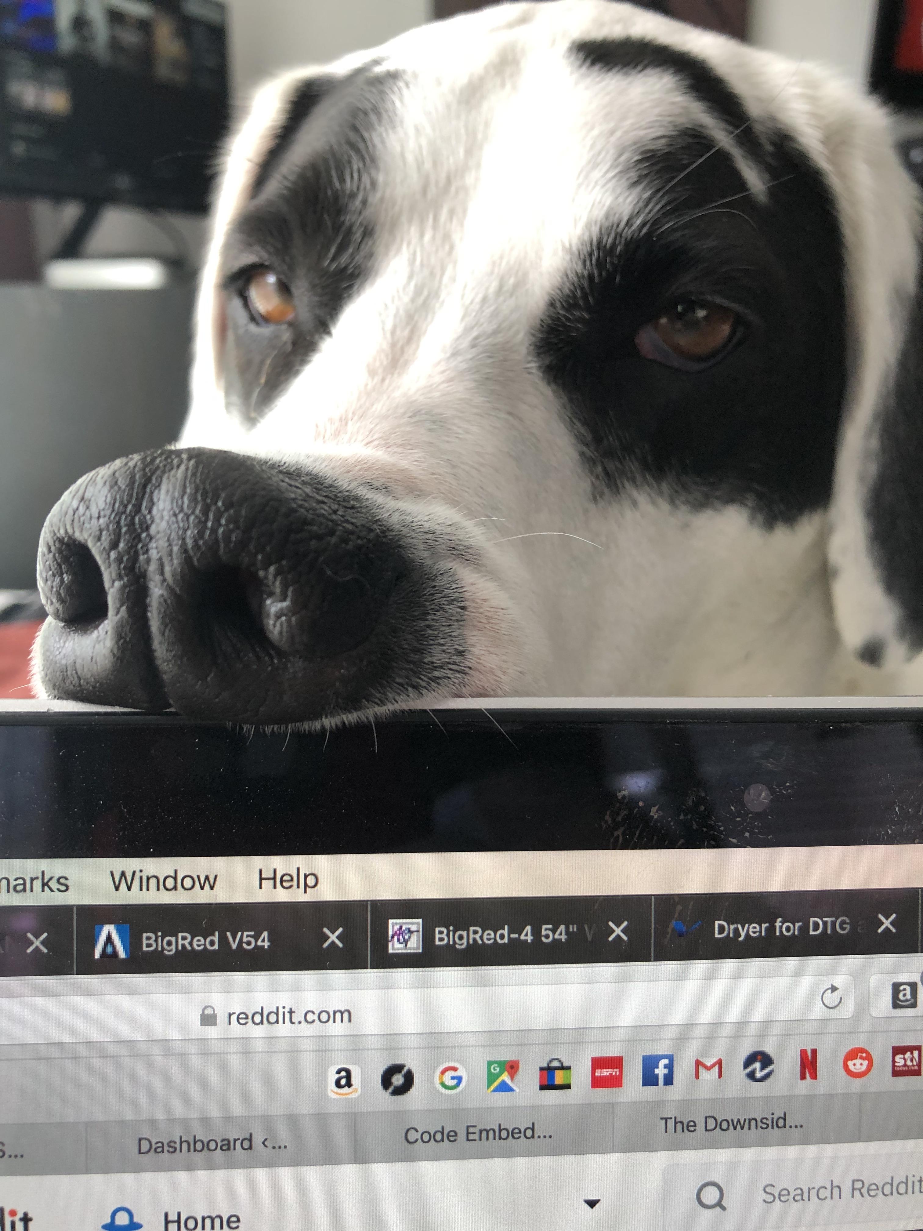 Um... Hey... | Scrolller