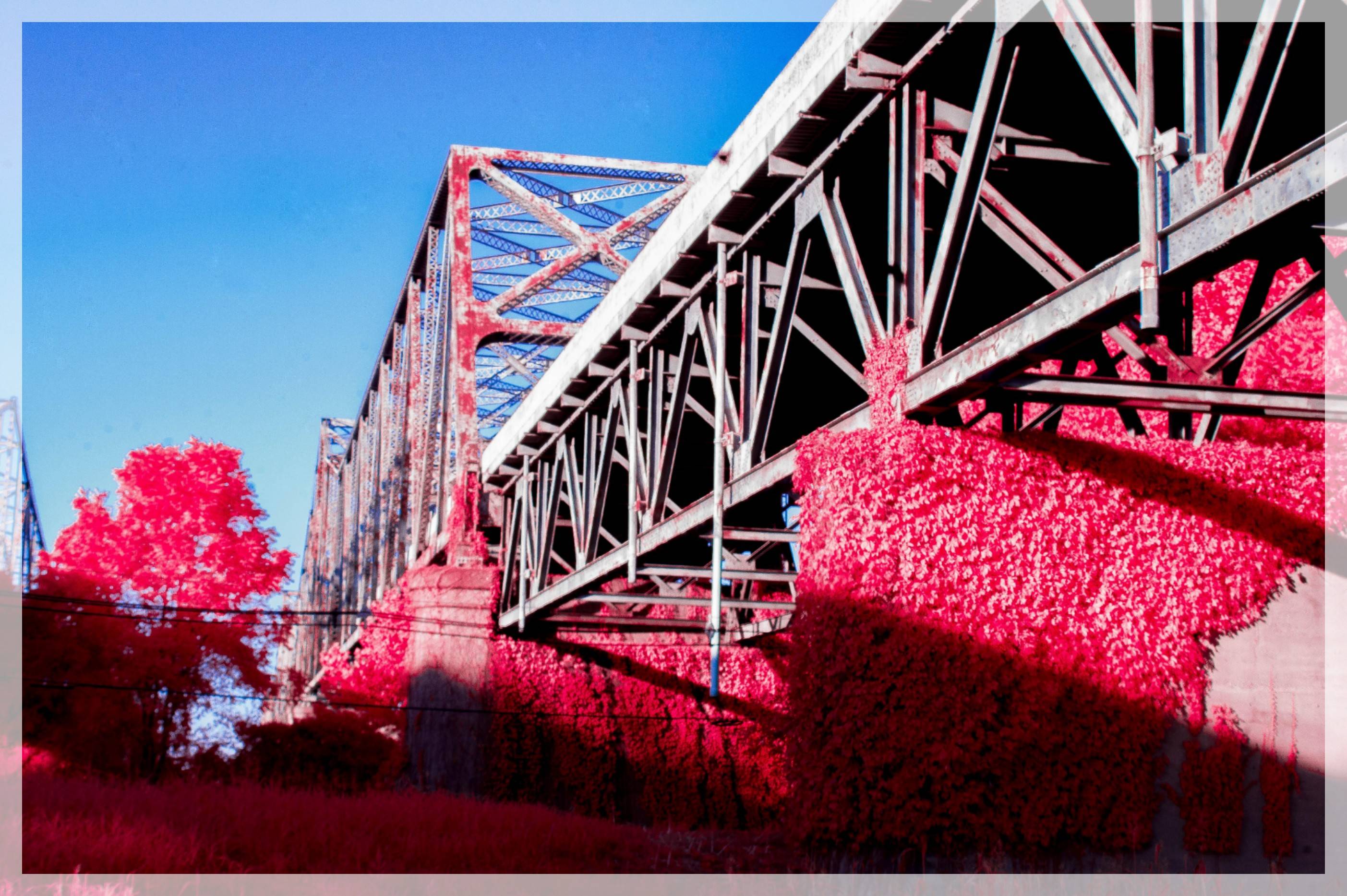 Underneath | Scrolller