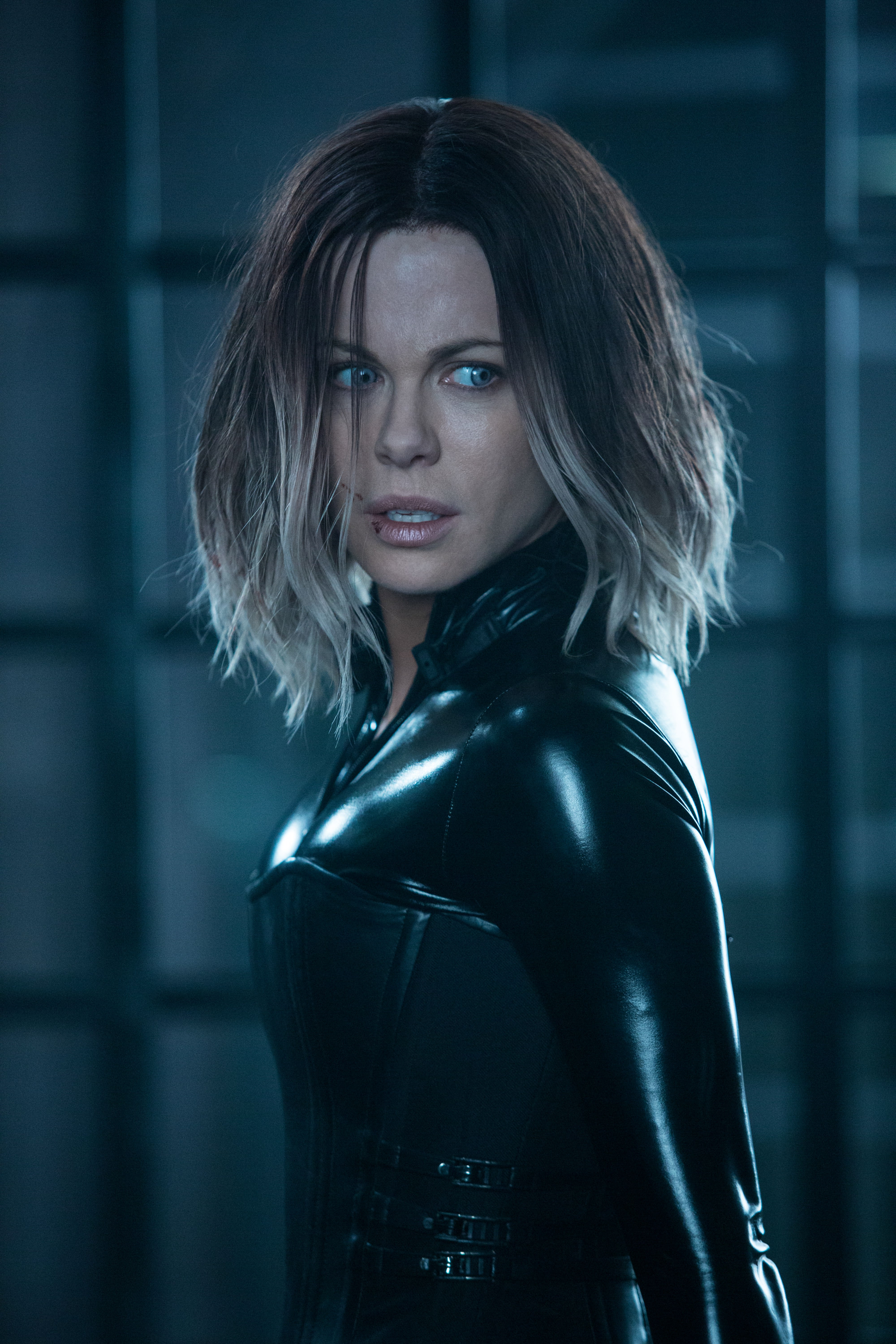 Underworld stare down | Scrolller