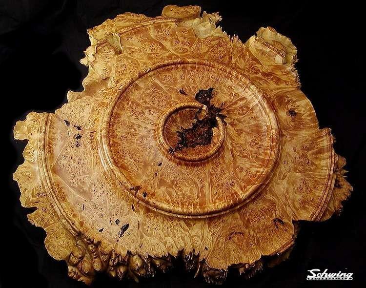 "Unearthed". 19" of big leaf maple burl | Scrolller