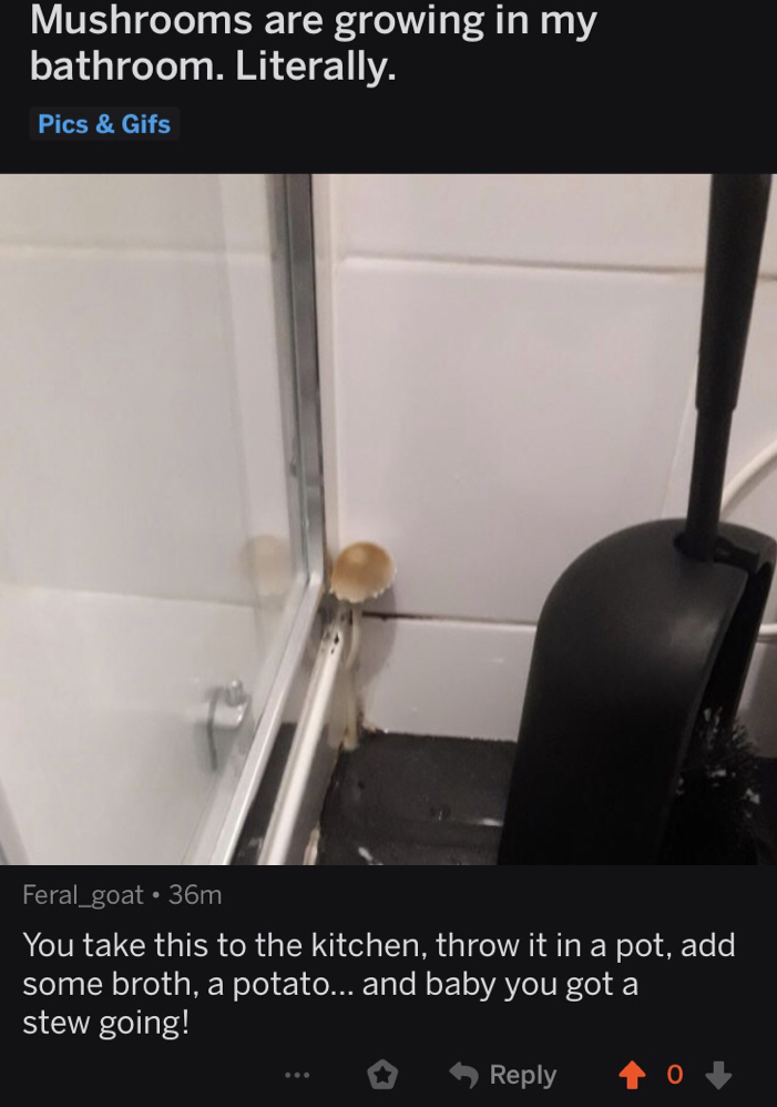 Unexpected Reference | Scrolller