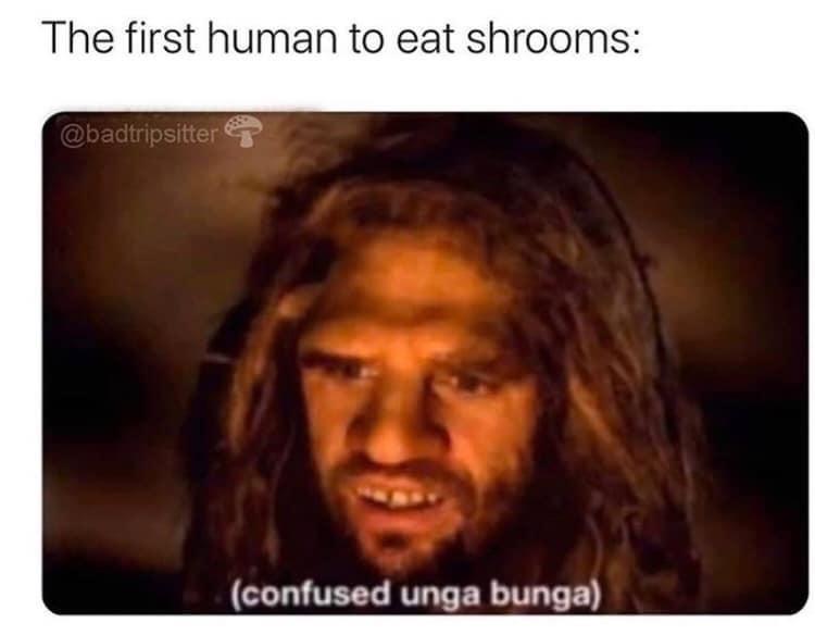 Unga Bunga Noises Commence Scrolller