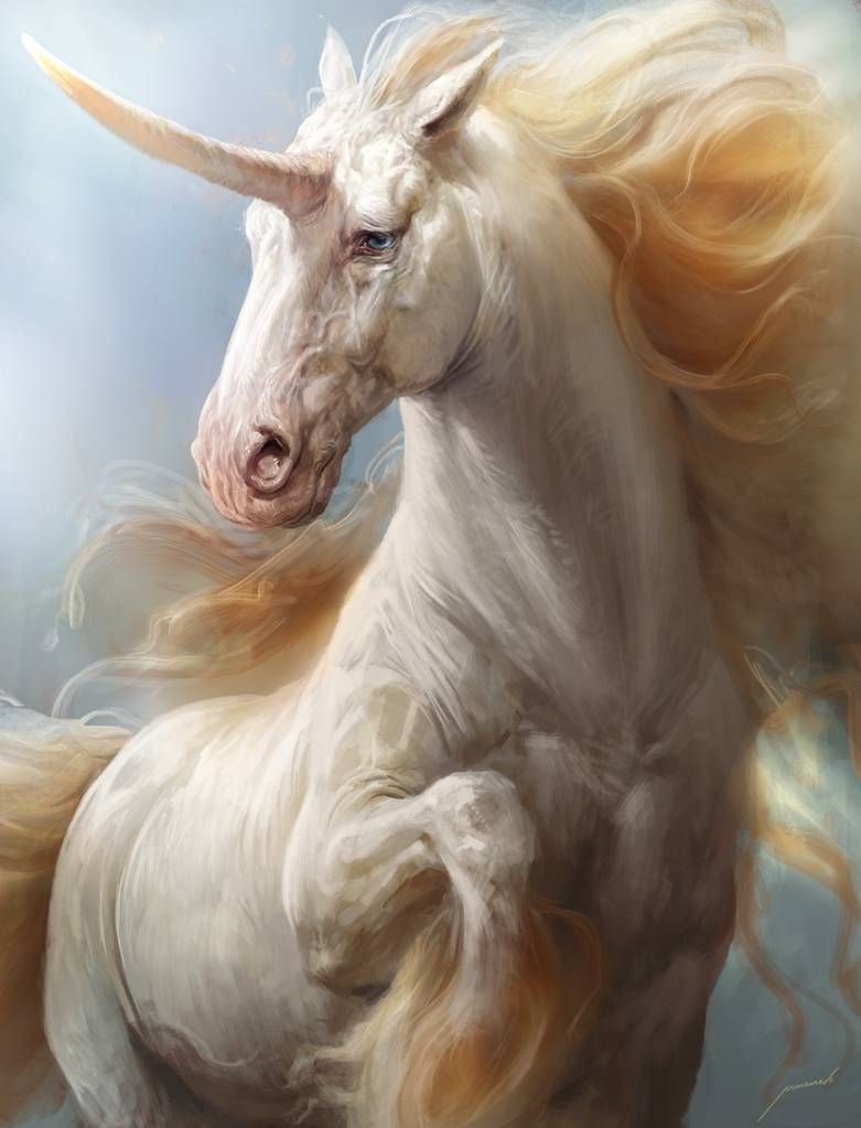 Unicorn by Manzanedo | Scrolller