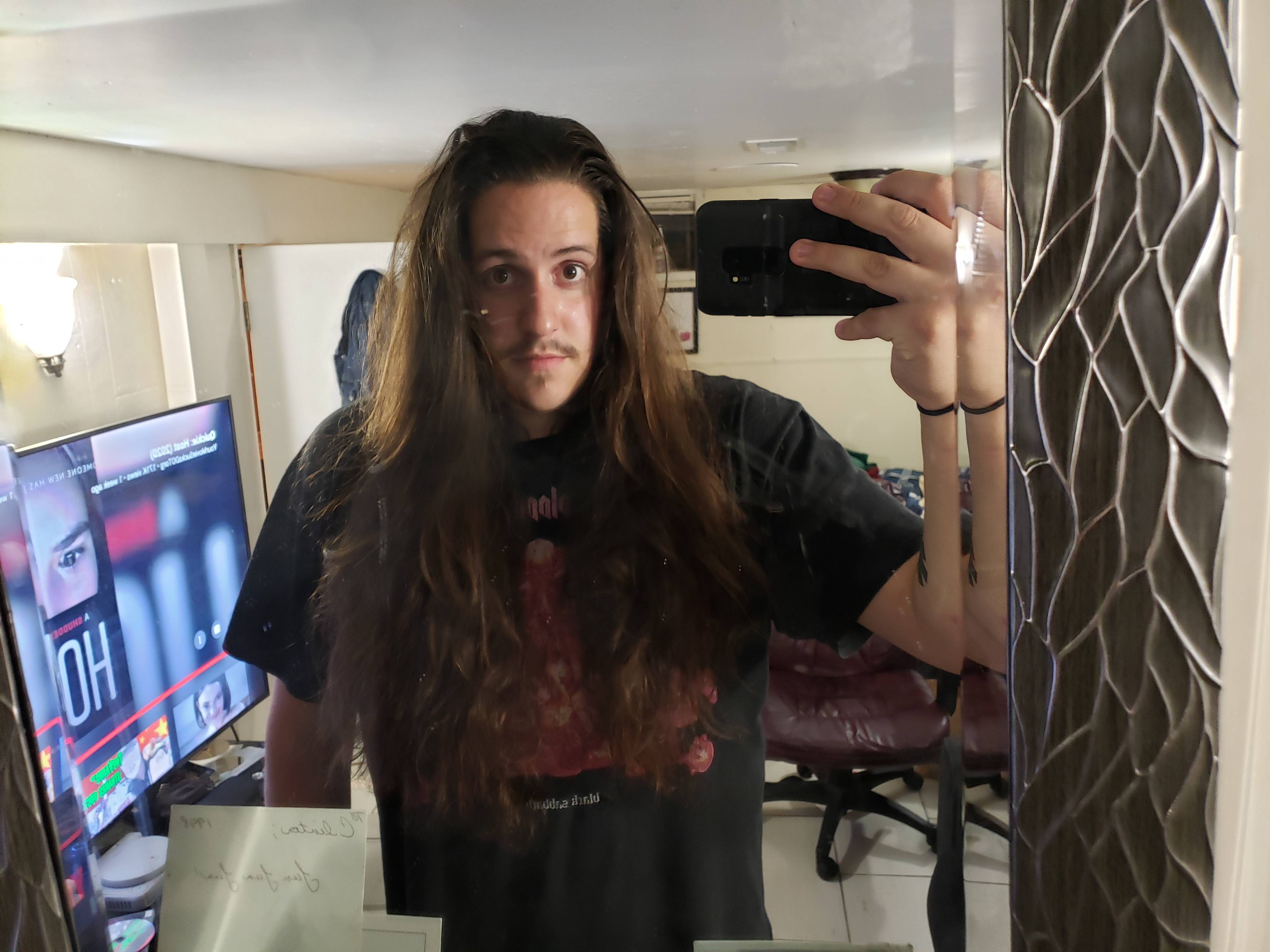 Untamed lions mane | Scrolller