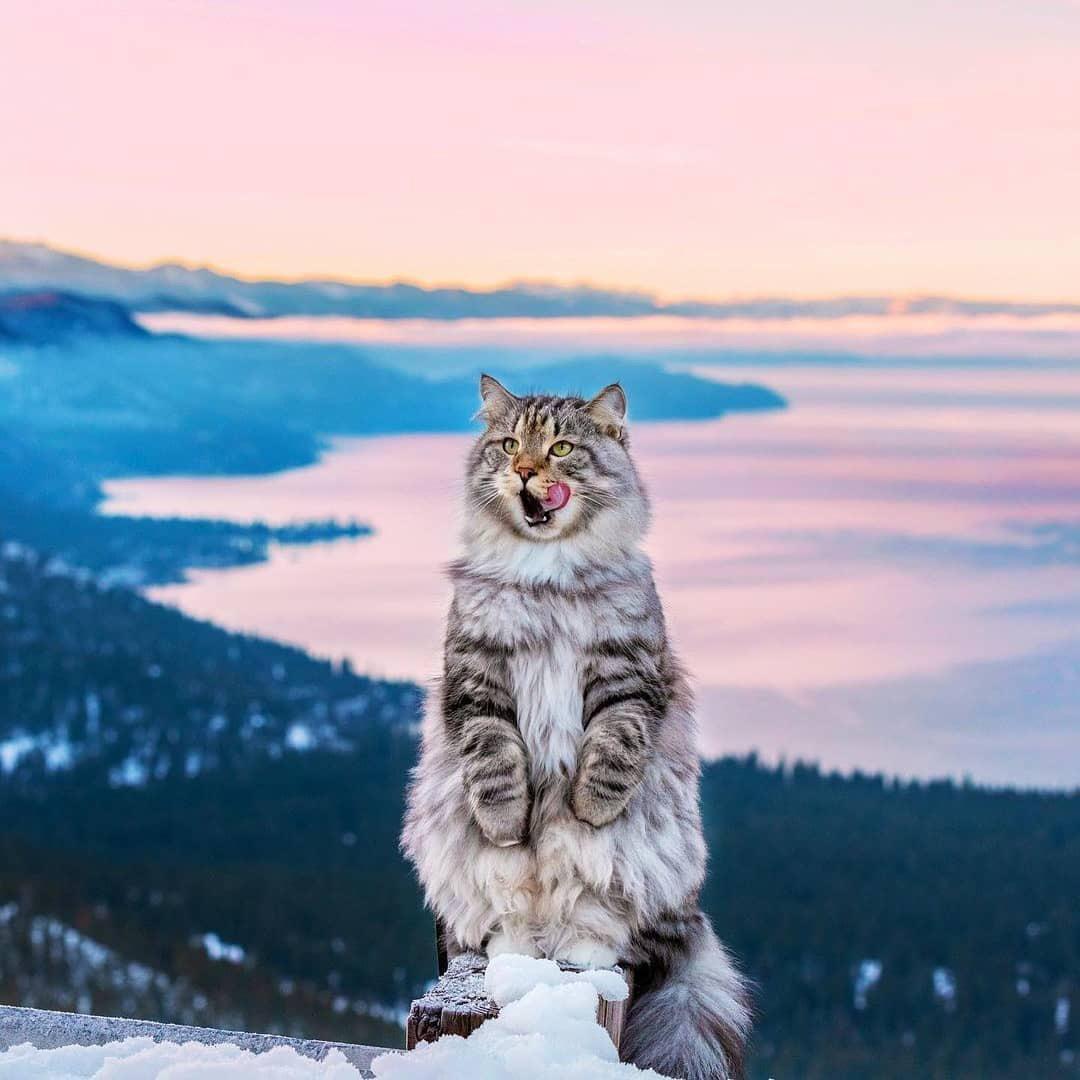 Beautiful capture | Scrolller