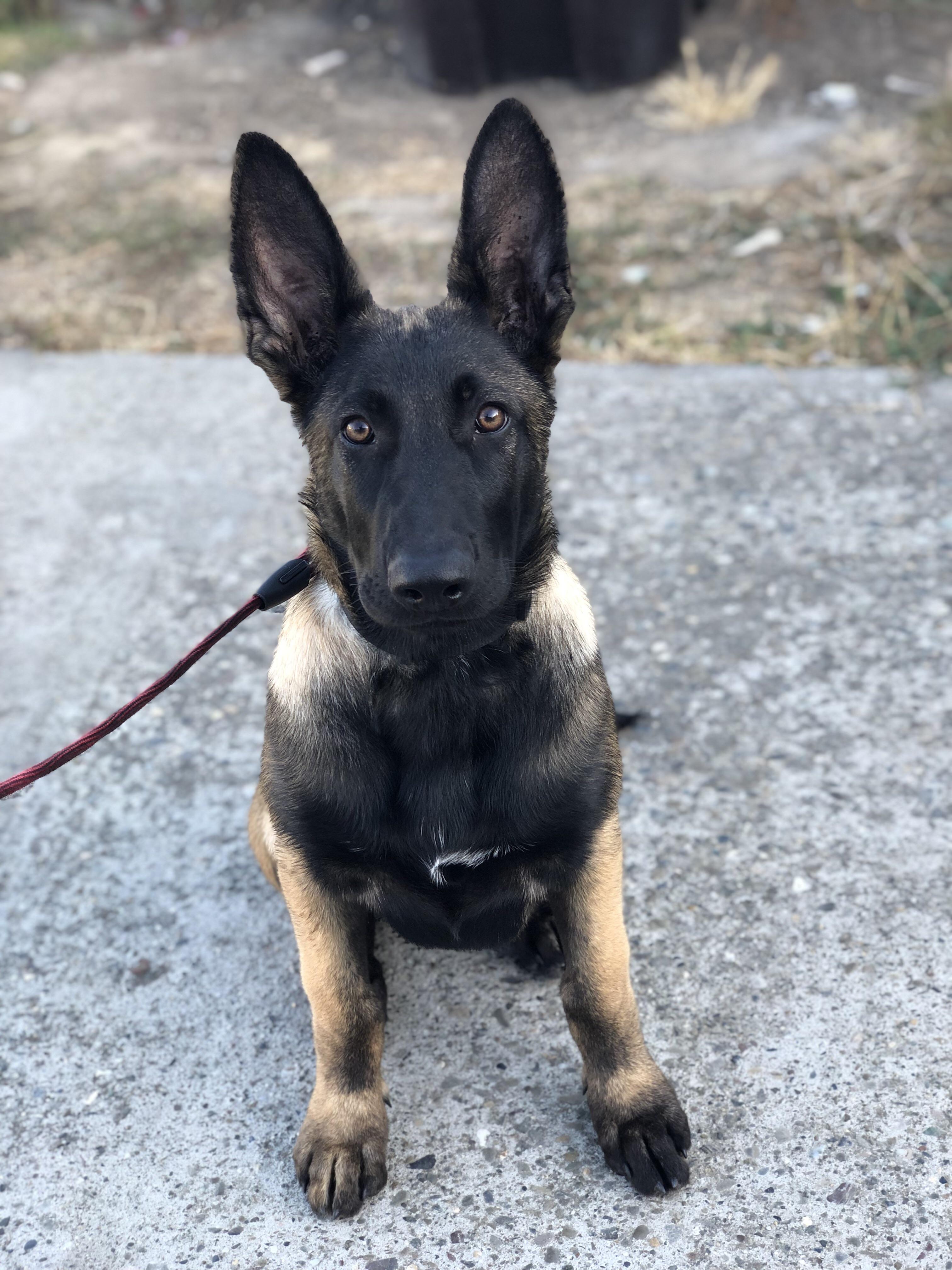 Update!: Cairo at 15 weeks! | Scrolller