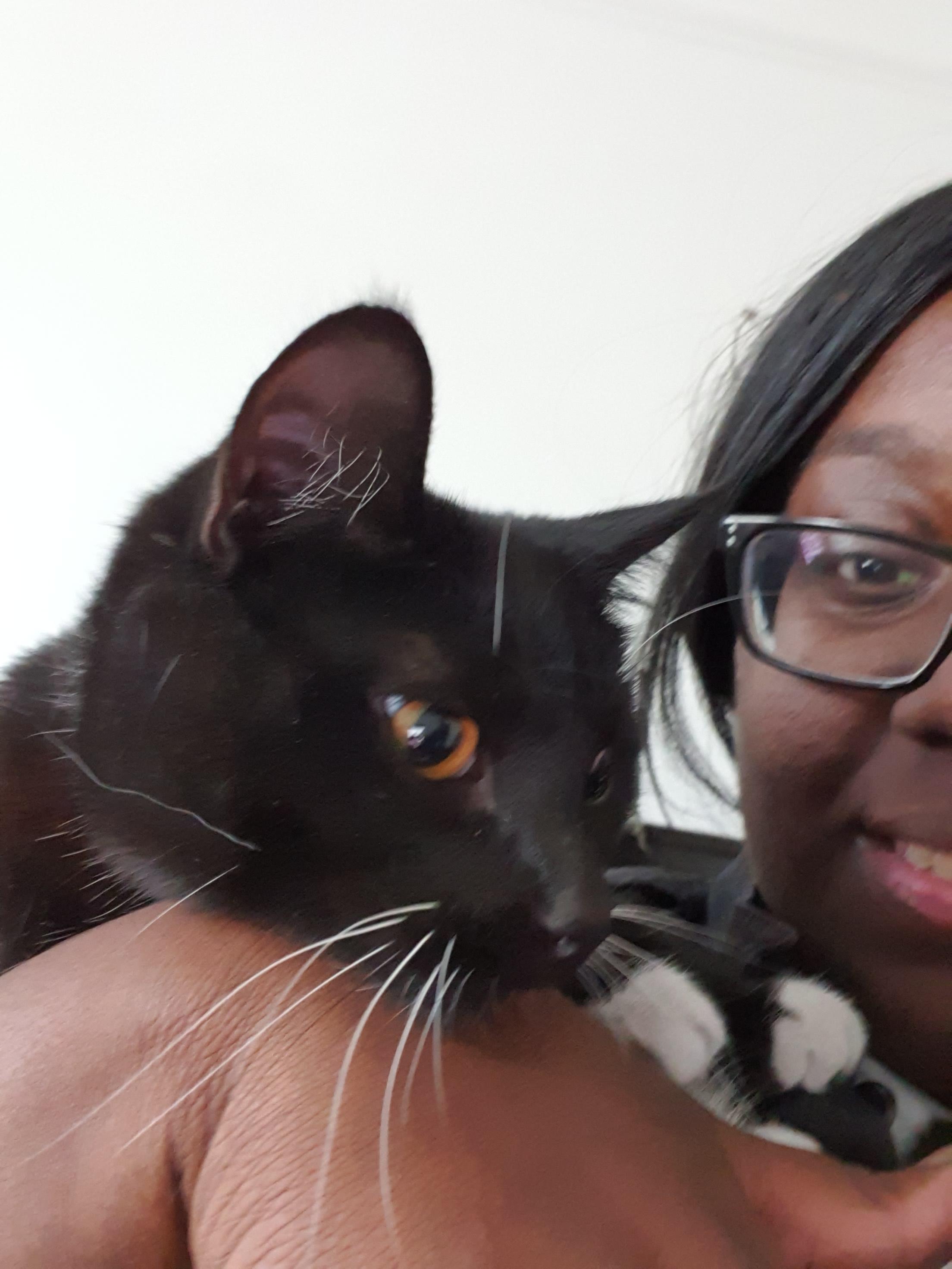 UPDATE: Kiyo returns!! | Scrolller