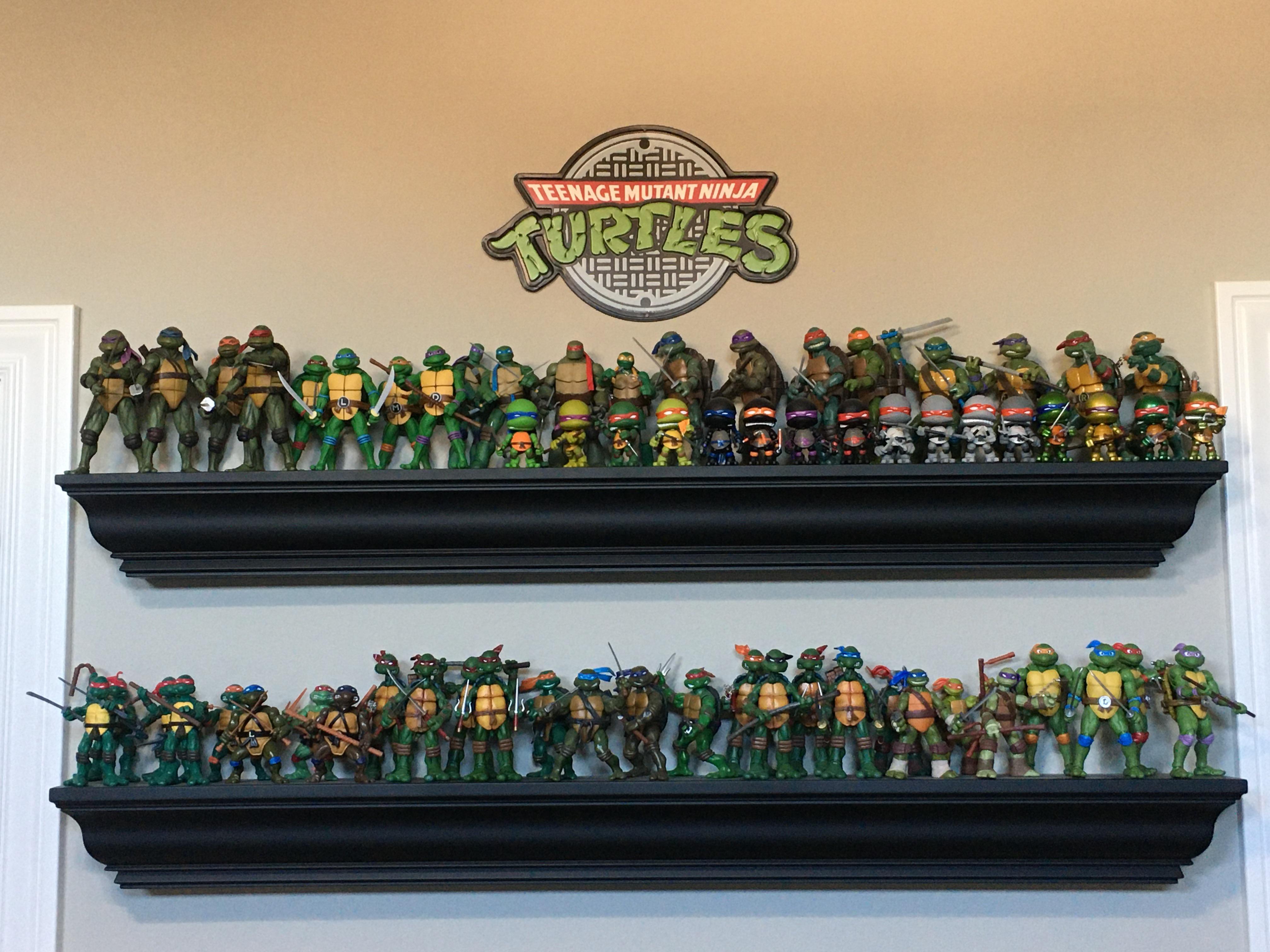 Updated Turtle Shelf | Scrolller