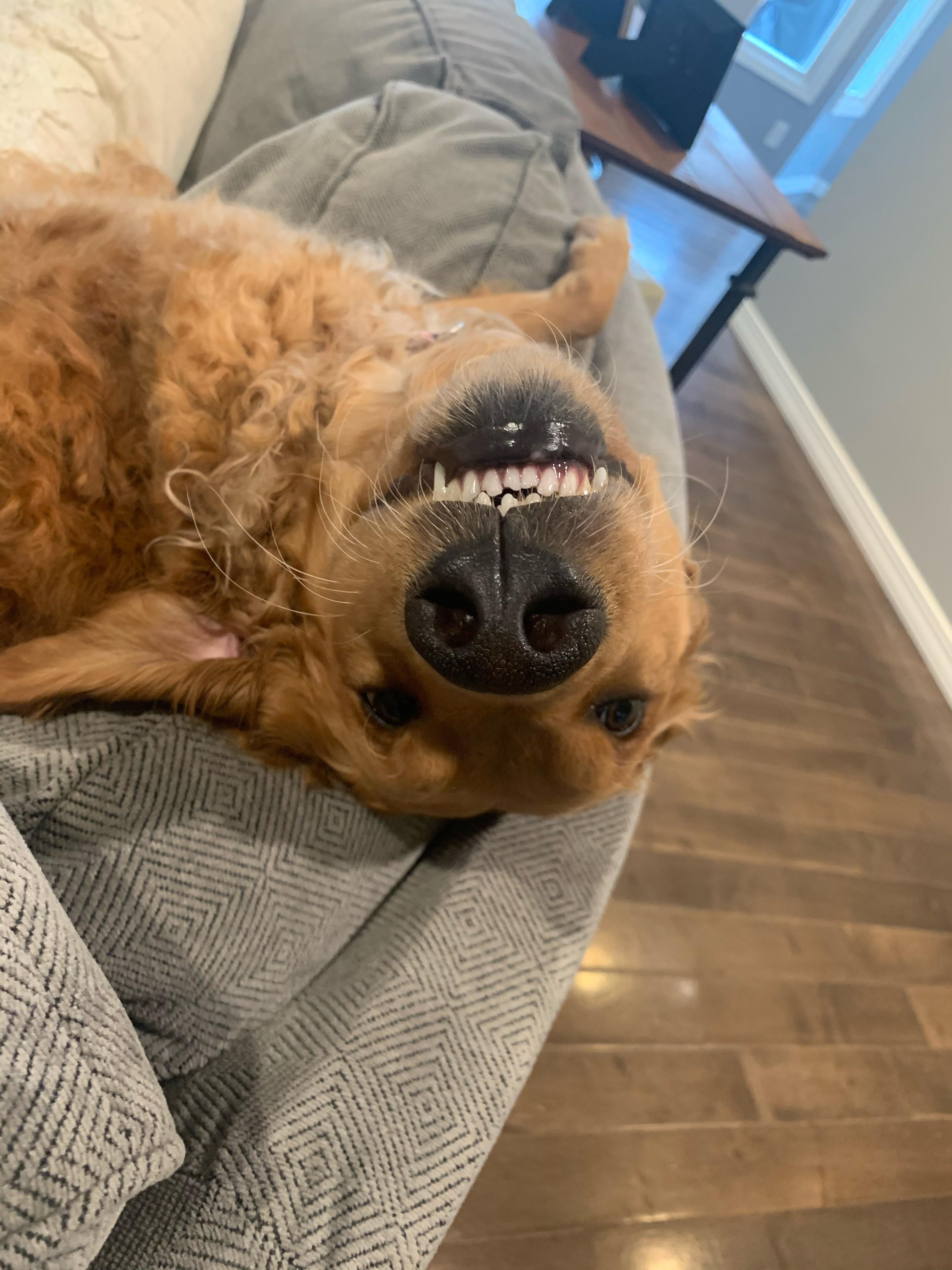 Upside down smiles | Scrolller