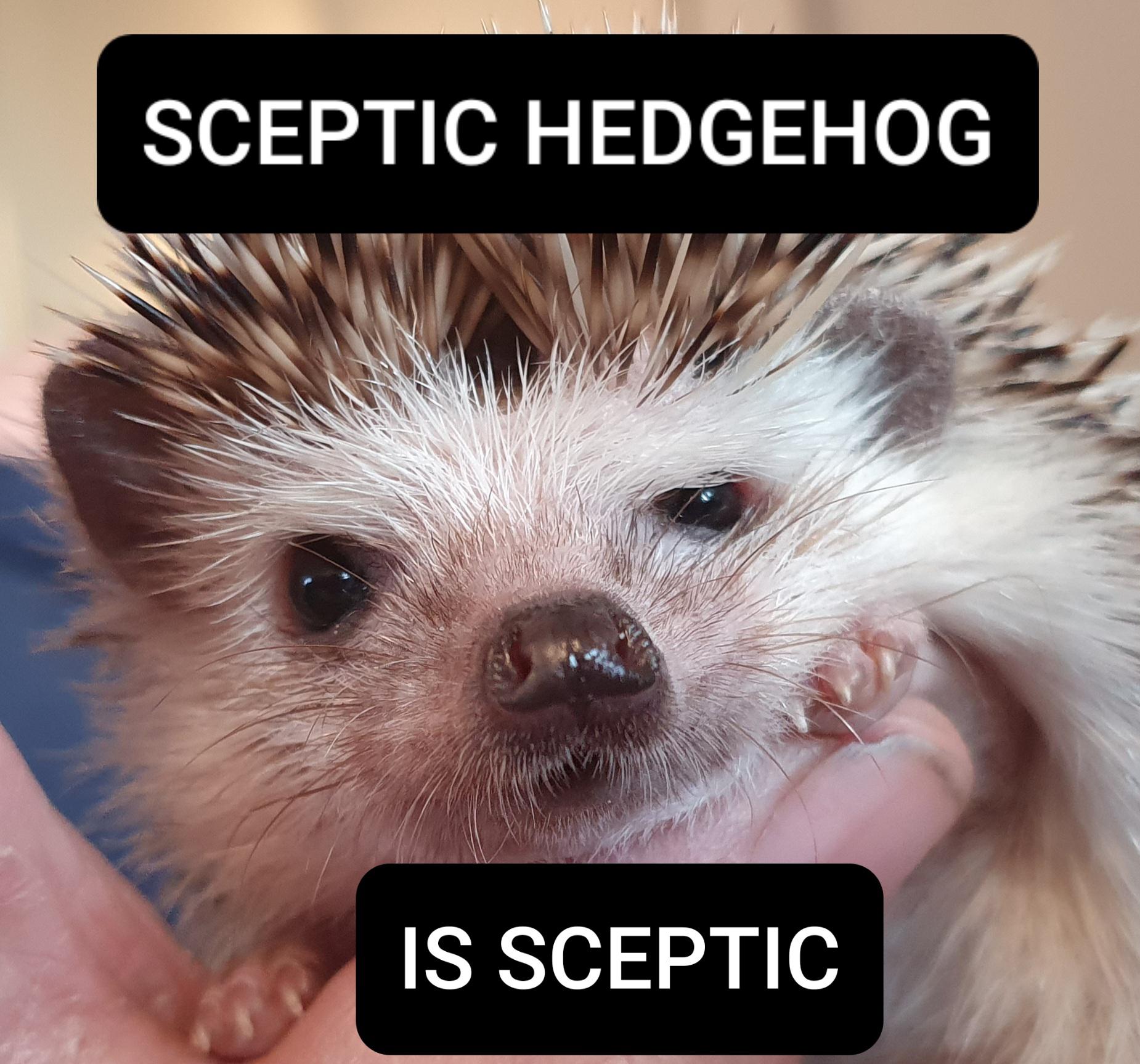 Use it wisely. | Scrolller