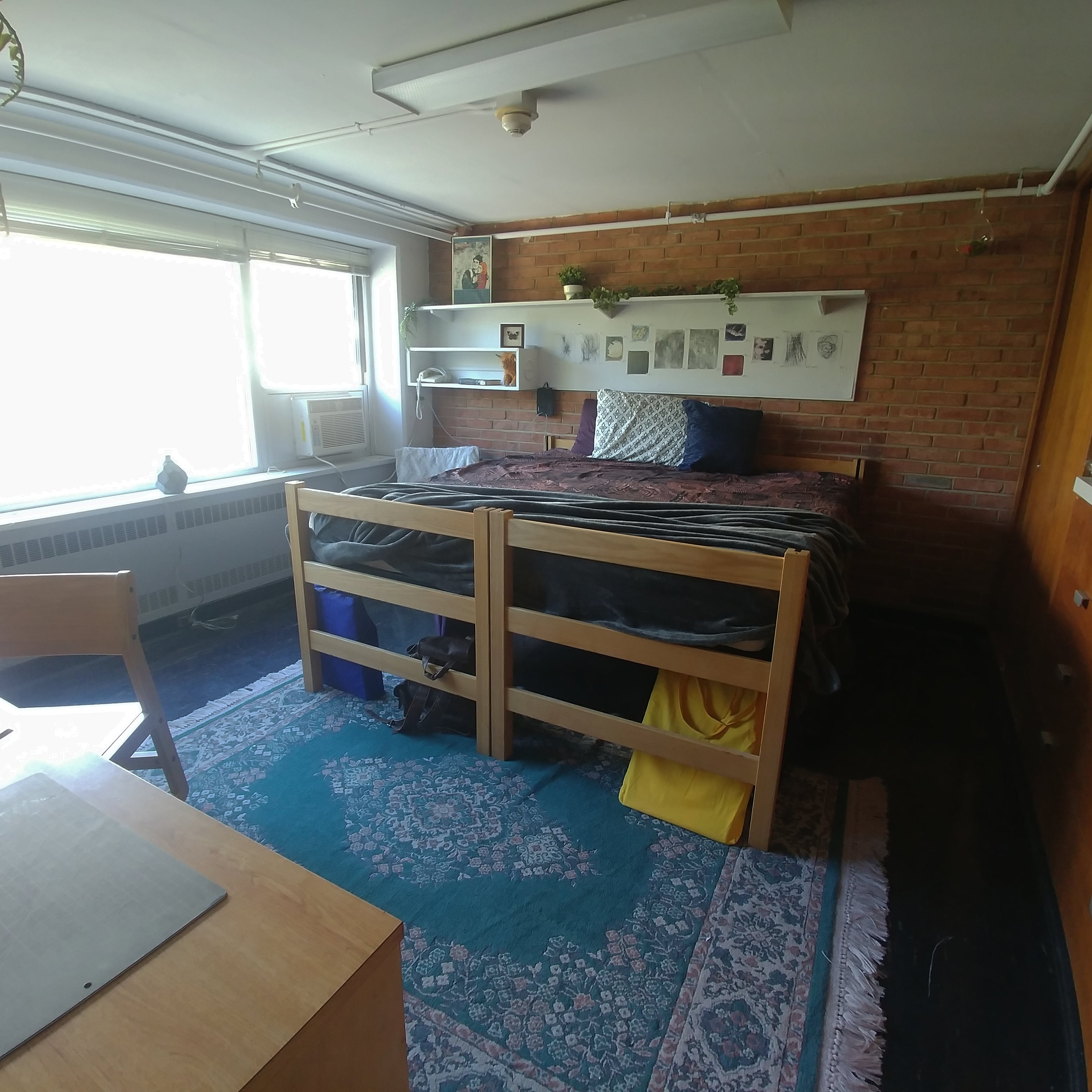 Used to be a double occupancy, but it's just me because of COVID restrictions | Scrolller