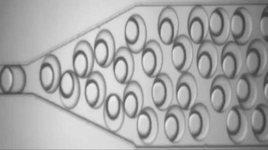 Using microfluidics to create a well-defined double emulsion of microparticles | Scrolller