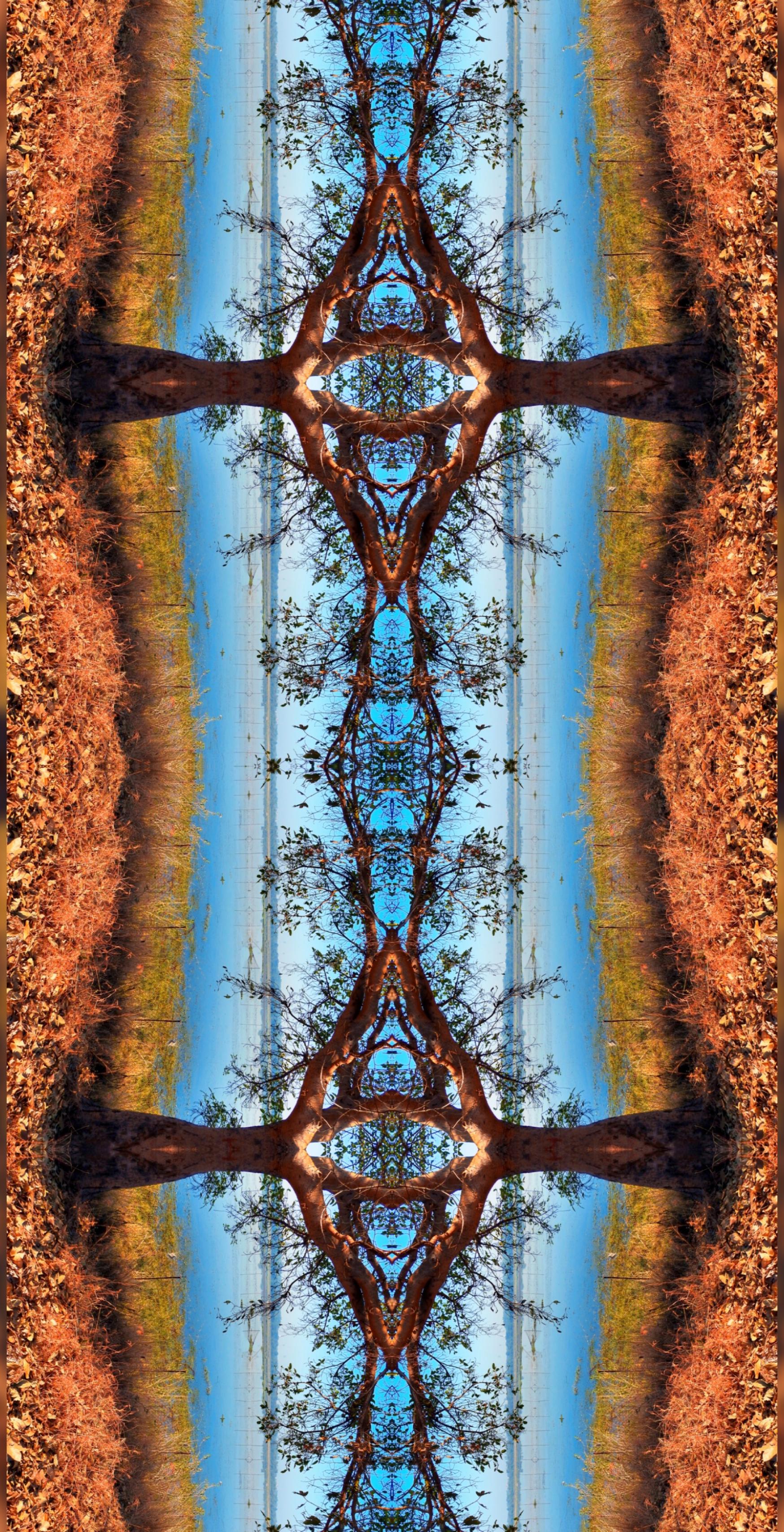 Using Polar and Mirroring effects creates fascinating images from ... Using Polar and Mirroring effects creates fascinating images from ...