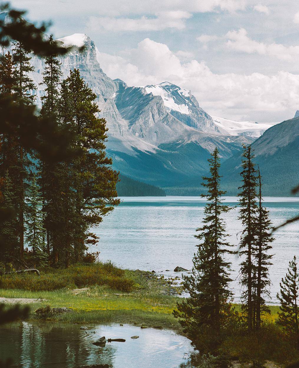 Valley of the Gods [Pentax 67, Portra 400] | Scrolller