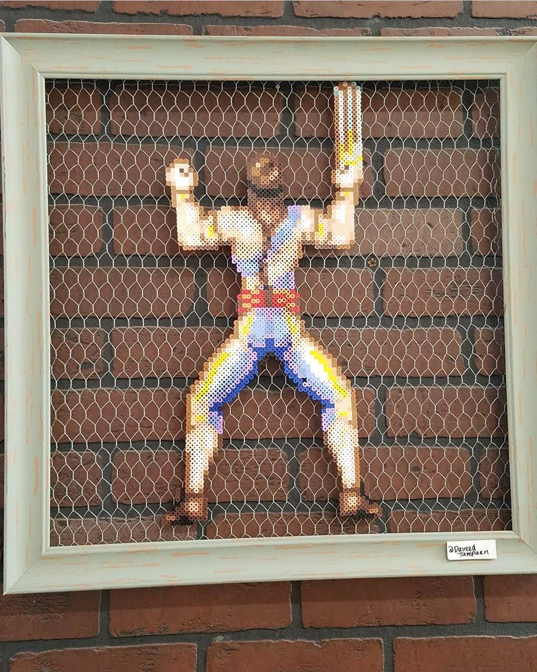 Vega Climbing Fence Perler Bead Art | Scrolller
