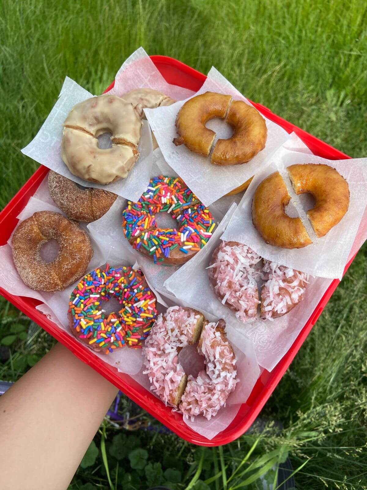 Vegan donuts with 7 flavor options for National Donut Day. | Scrolller