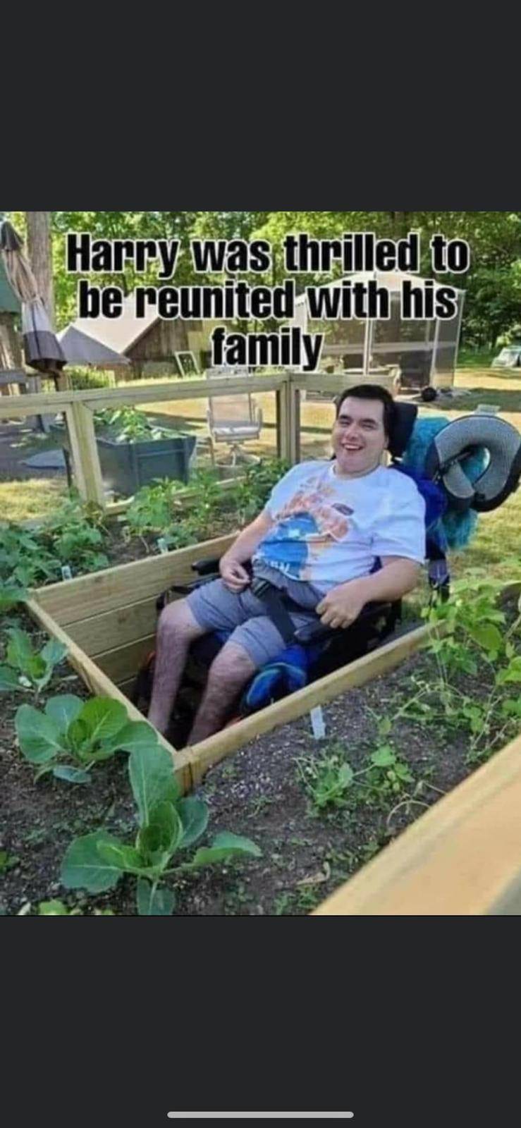 Vegetables | Scrolller