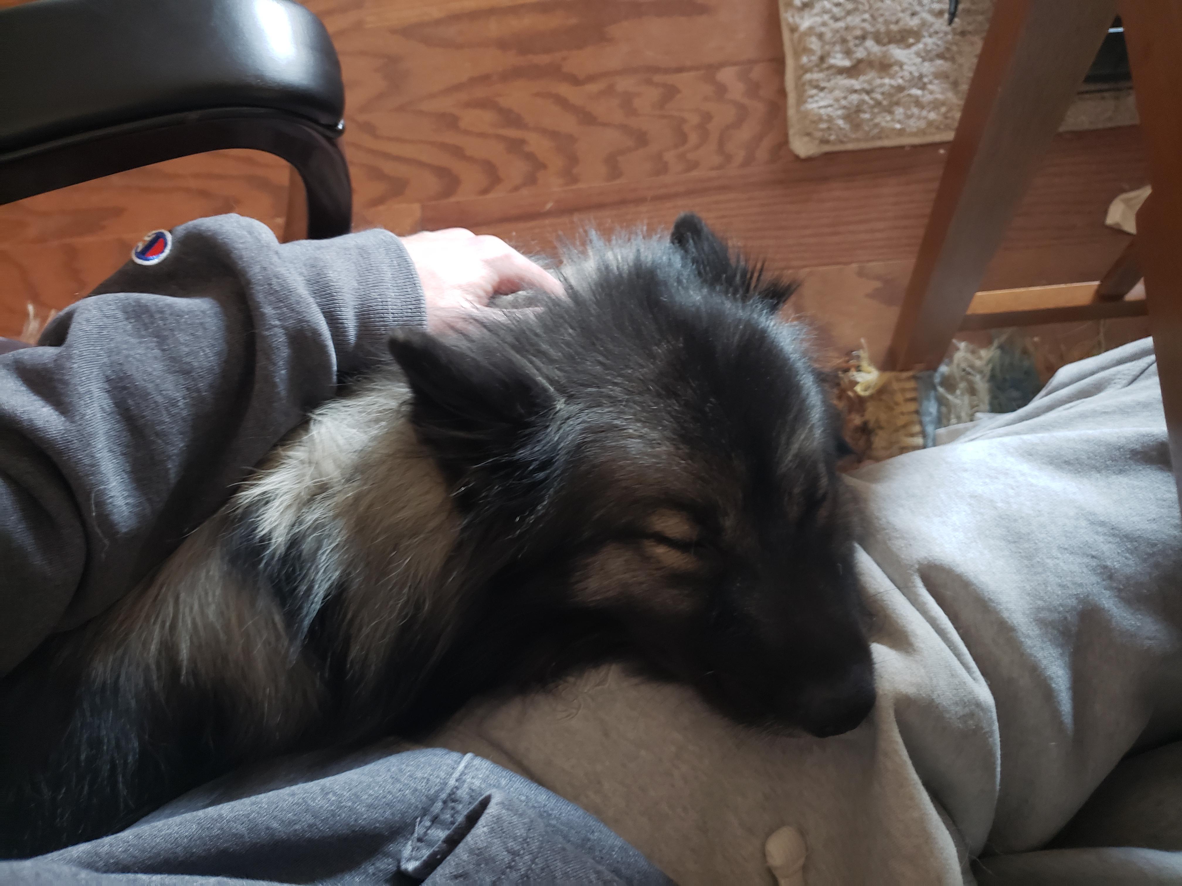 Velcro Mode: Engaged | Scrolller