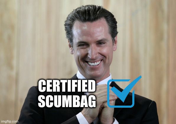 Verification Successfully Completed | Scrolller