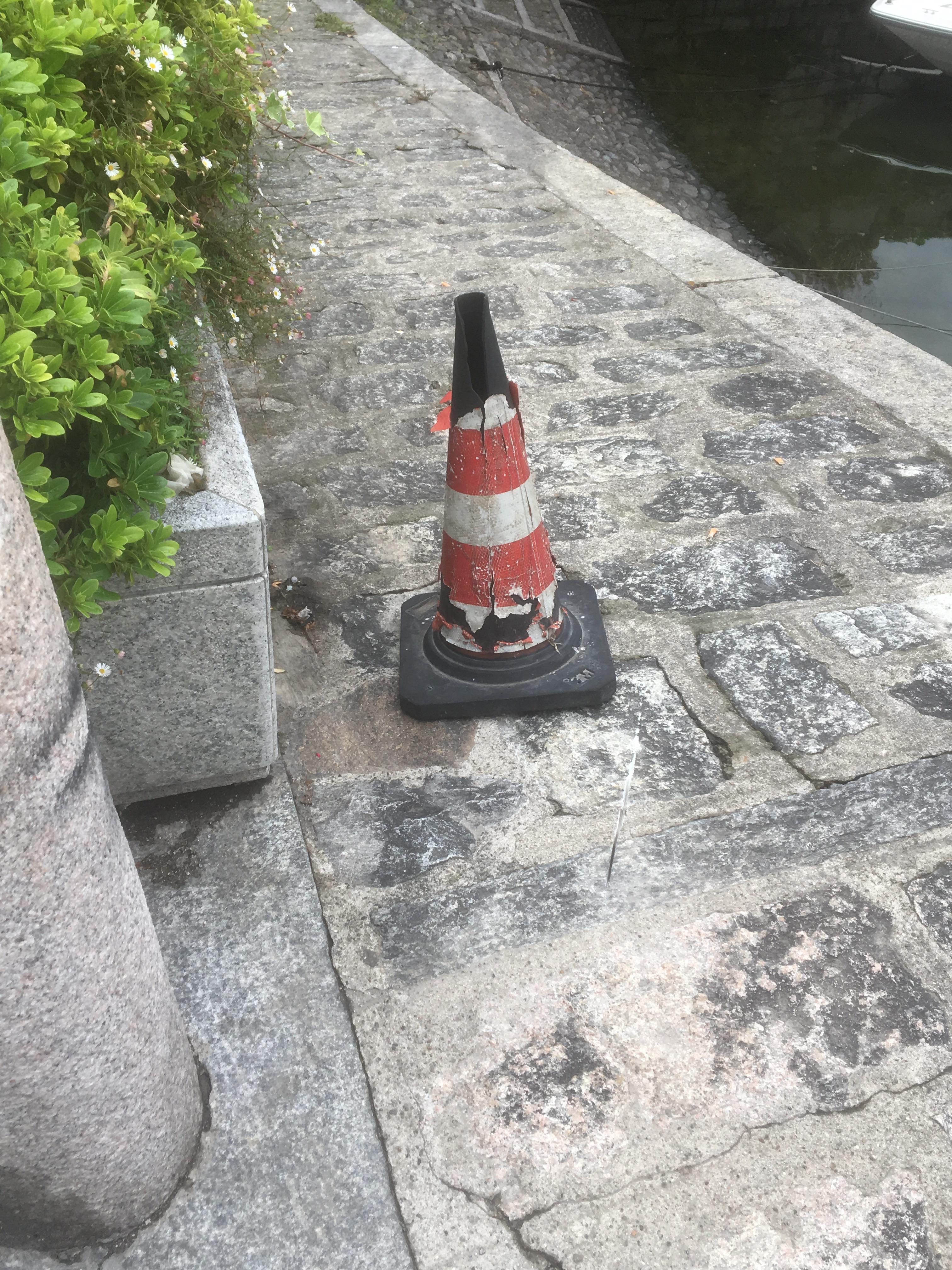 Very rare black cone, centuries old | Scrolller