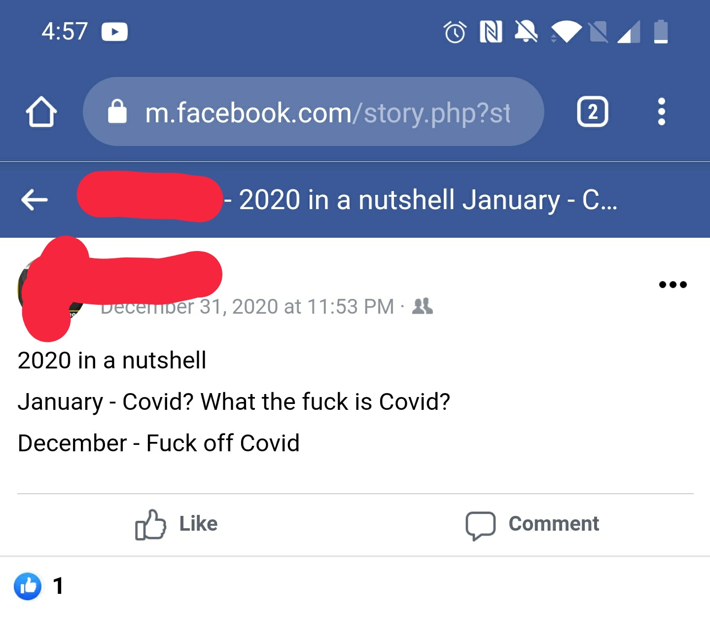 Very unique and interesting retrospective on 2020 | Scrolller