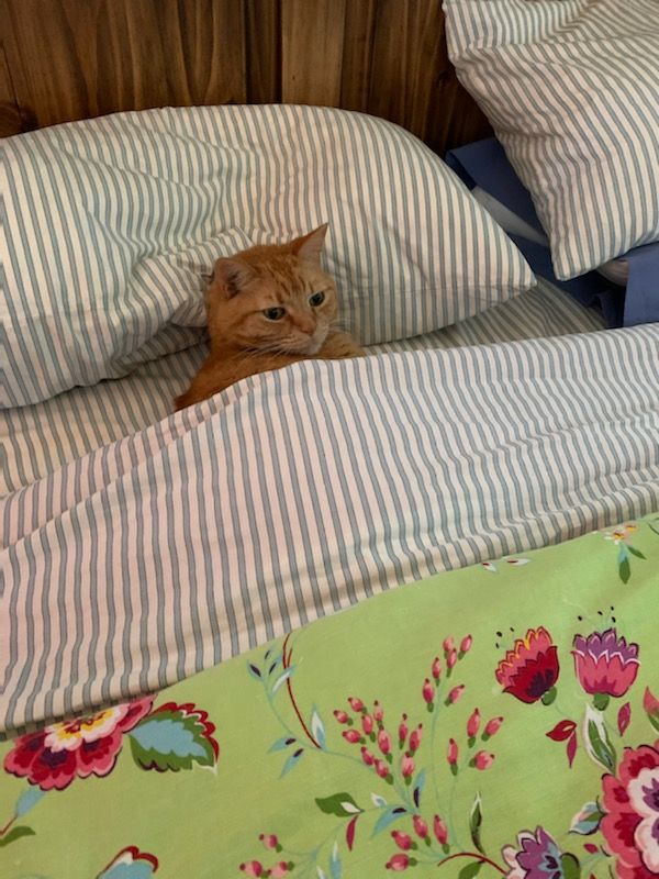 Very warm, very snug | Scrolller