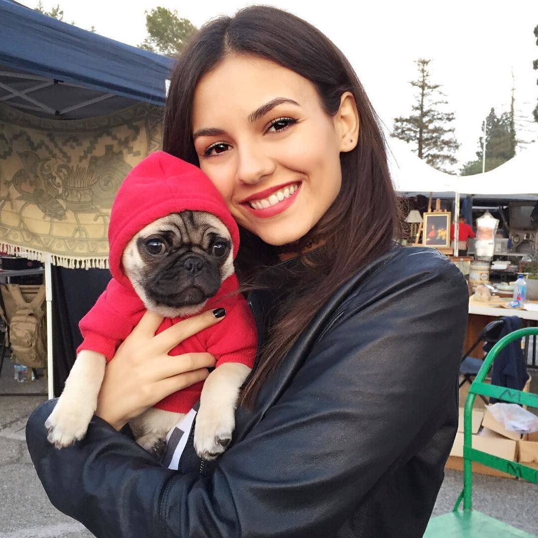 Victoria Justice with a pug. | Scrolller