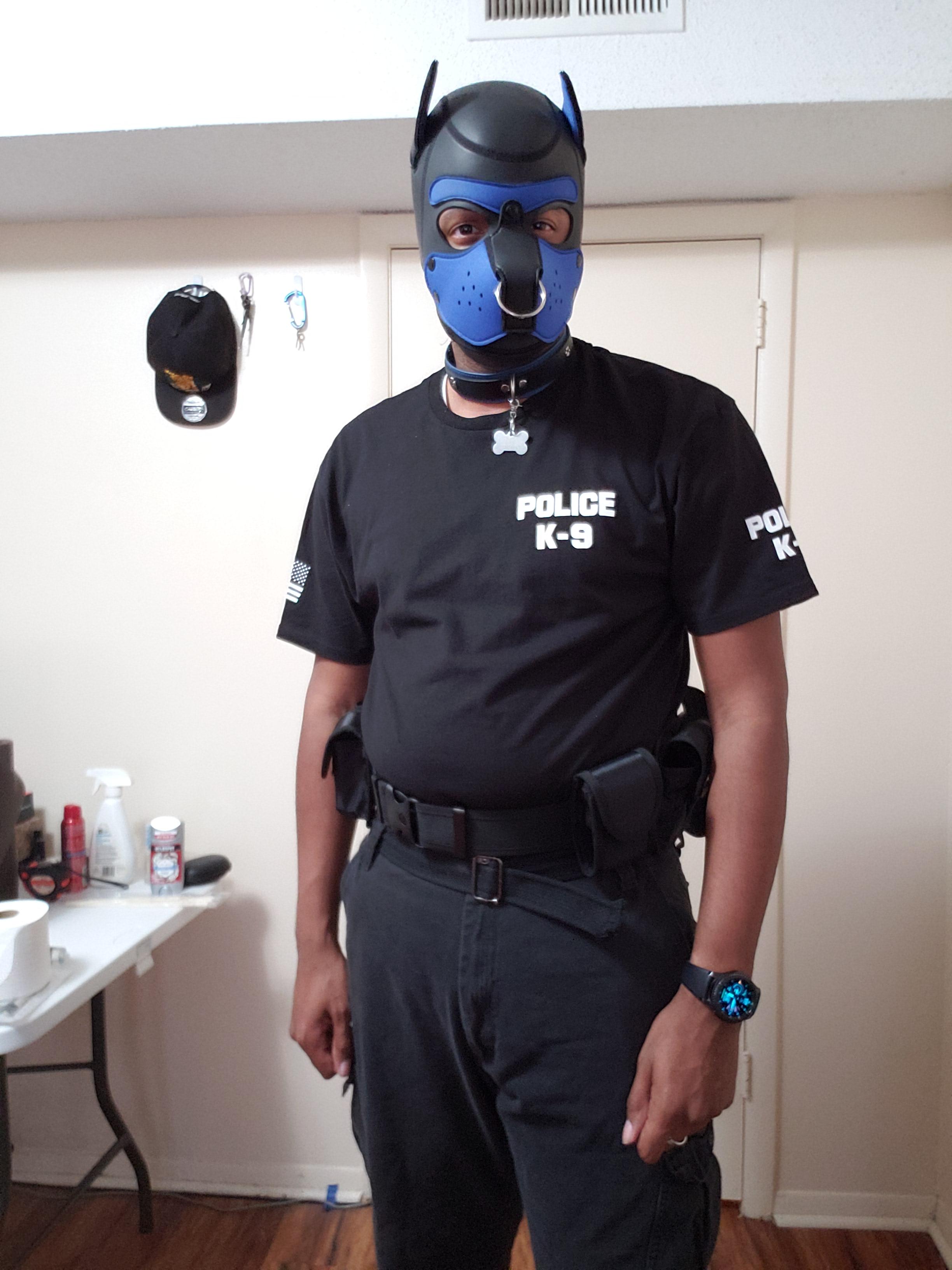 View from the front | Scrolller