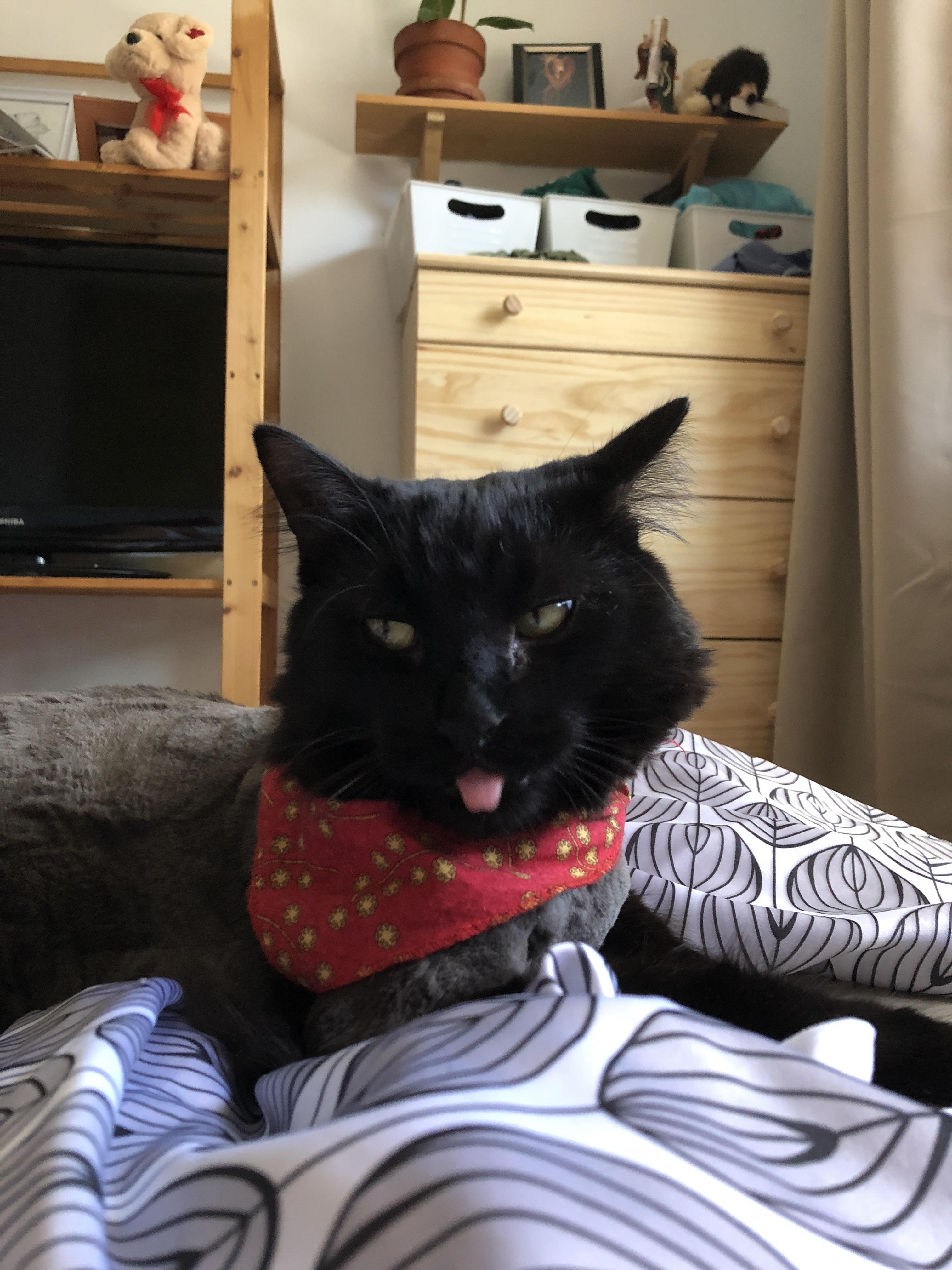 Vigo being a derp | Scrolller