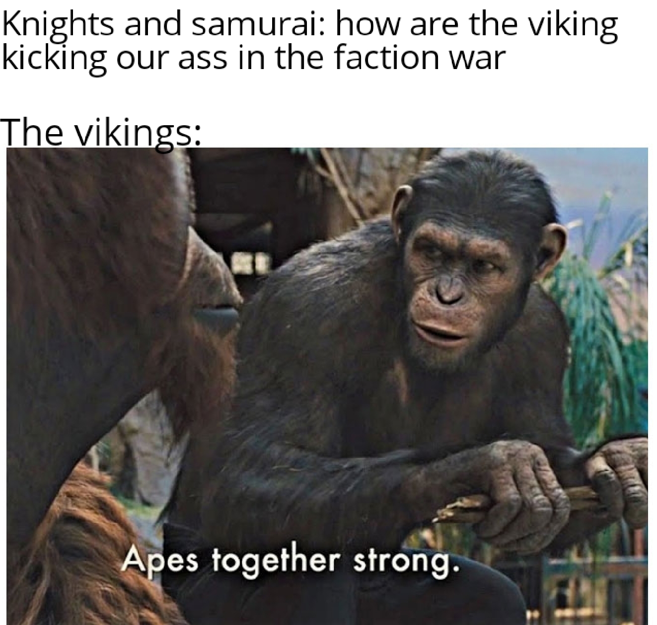 Vikings rule | Scrolller