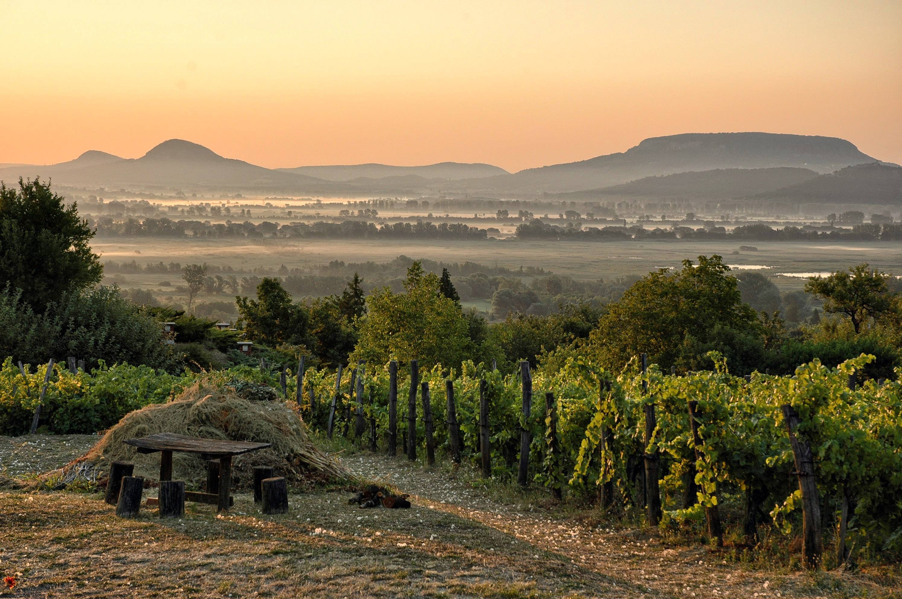 Vineyard watching over the Tapolca Basin and the 'witness' mountains in Hungary [OC] [2989x1985 ...