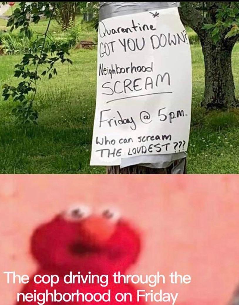 Virtual screaming match? | Scrolller