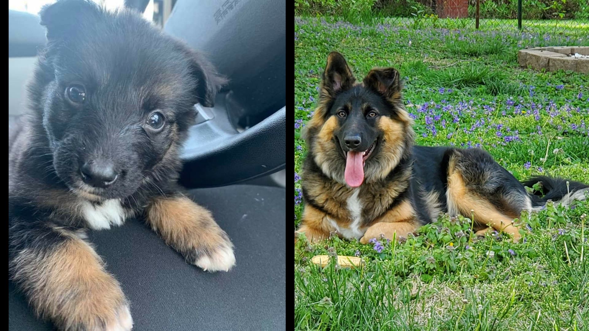 Vivi, one year later. | Scrolller