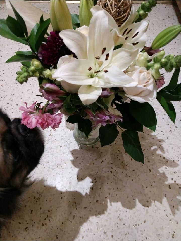 Wailen is always smelling flowers every chance he gets! | Scrolller