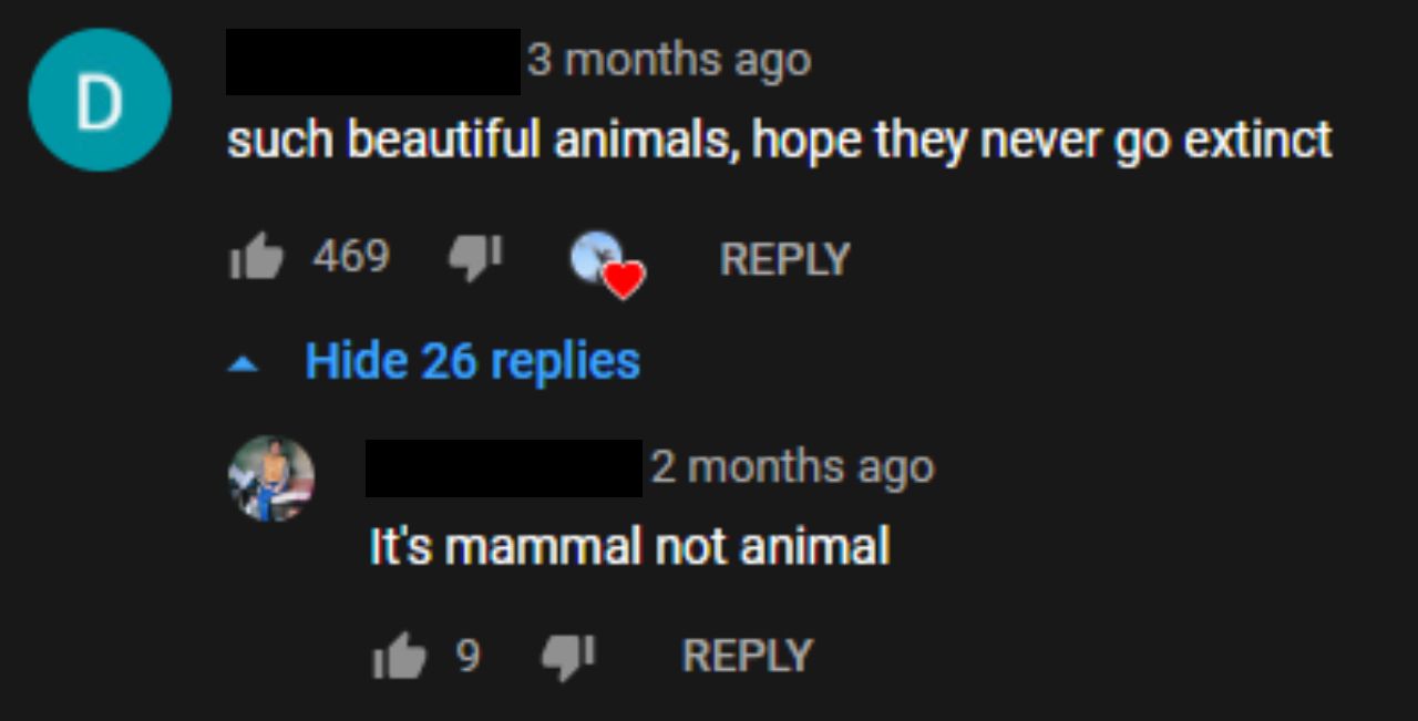 Wait mammals are animals? | Scrolller