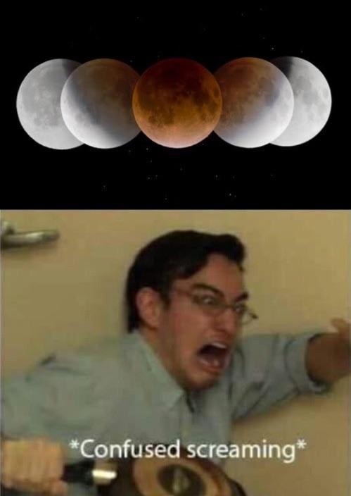 wait wtf | Scrolller