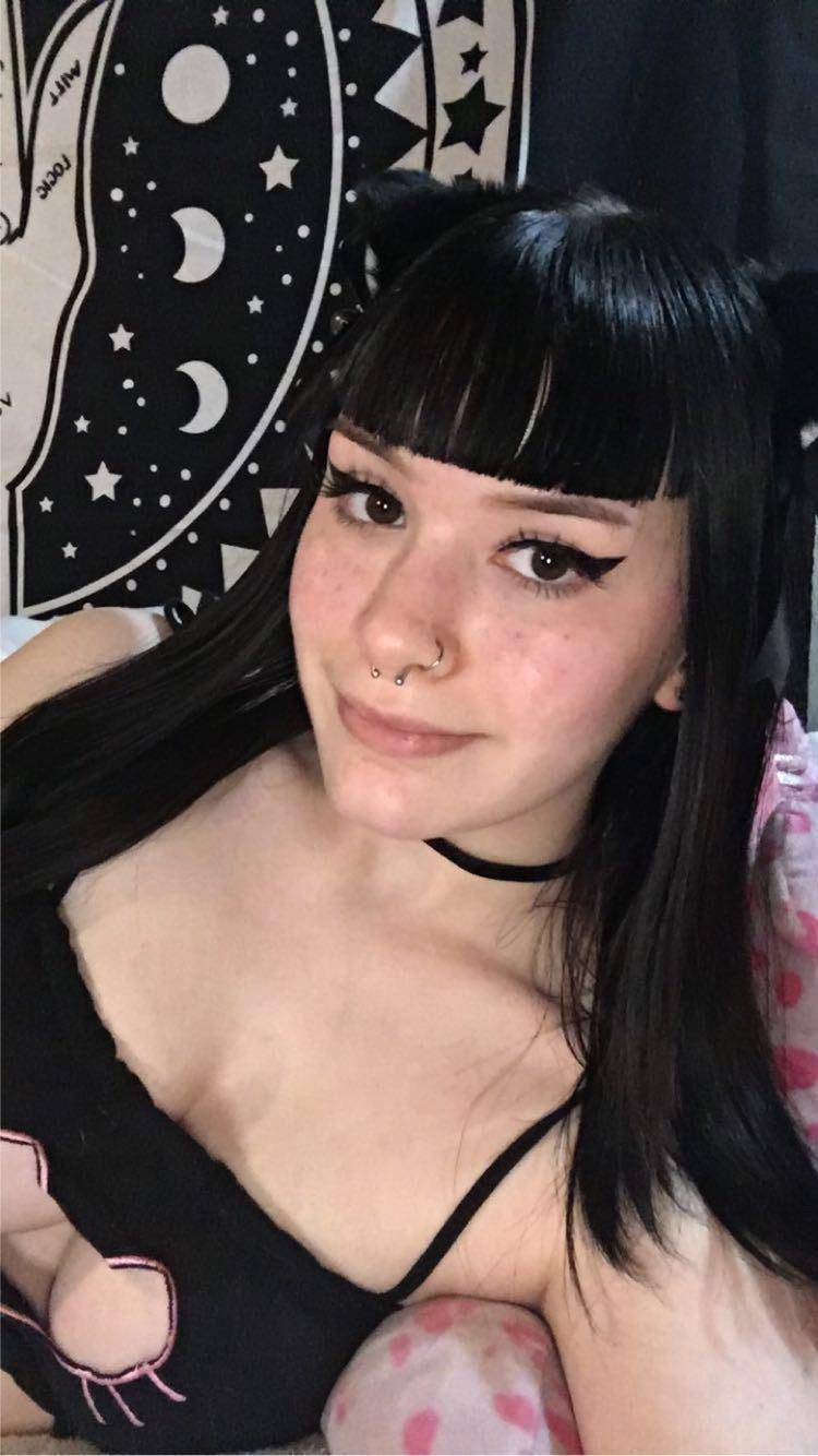 Waiting for headpats :3 | Scrolller