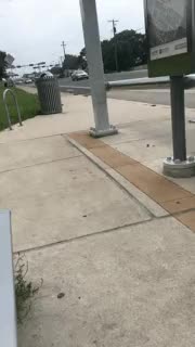 Waiting for the bus. | Scrolller