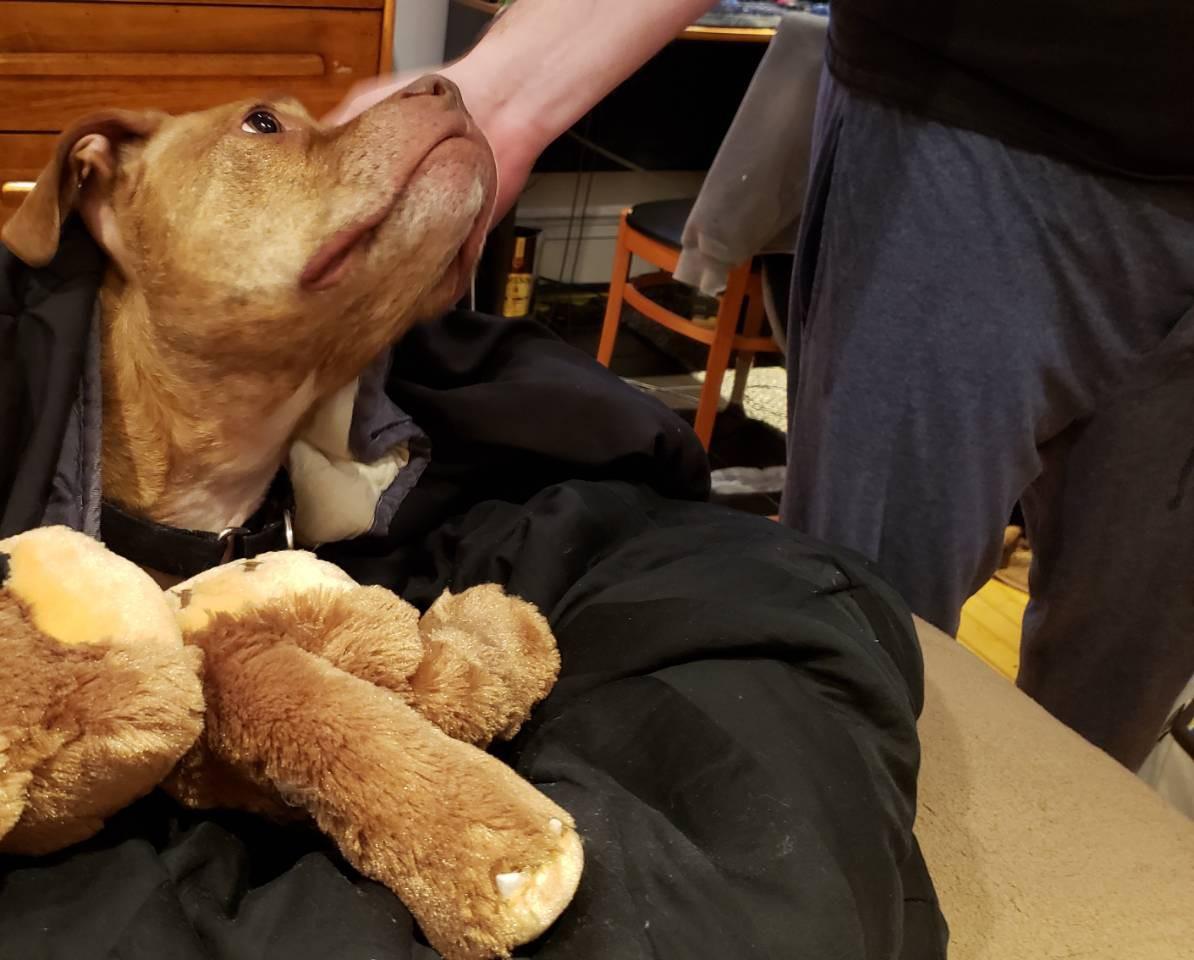 Waking up from a nap and 'mirin Dad | Scrolller