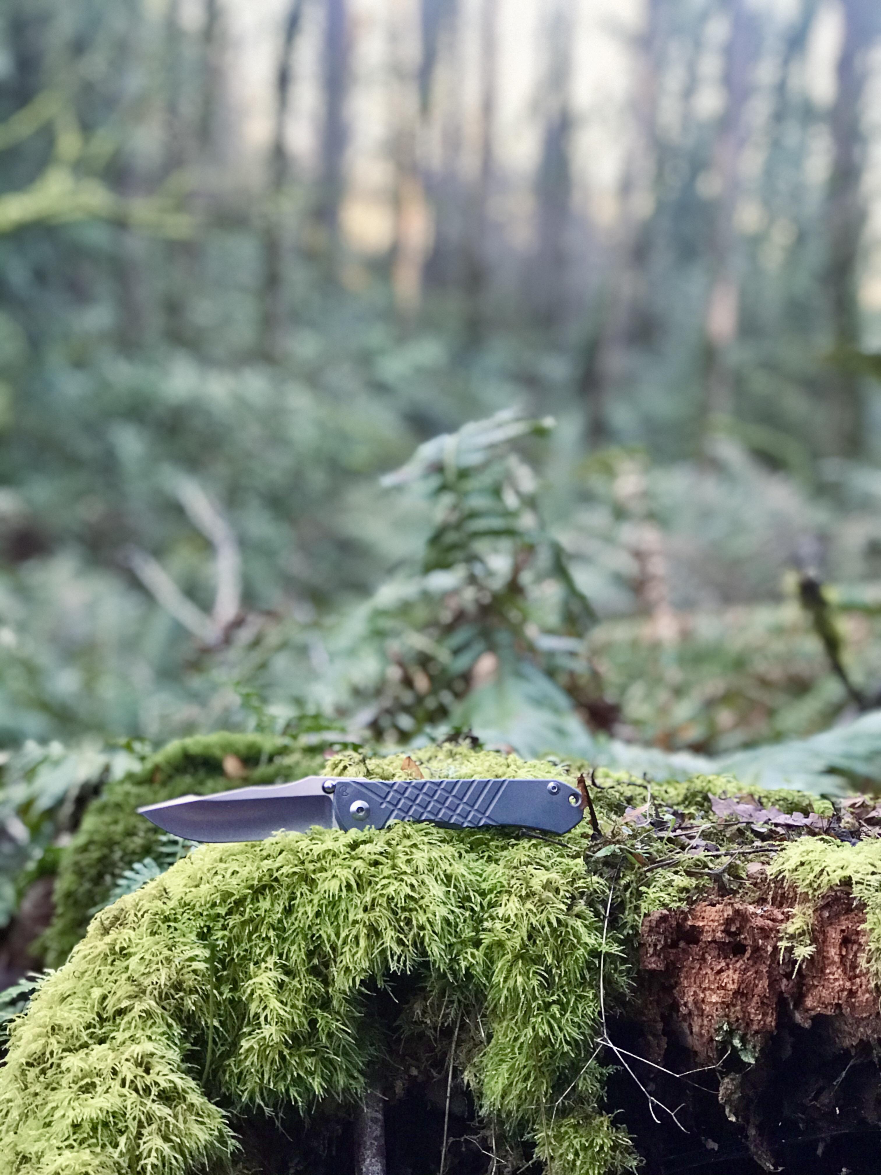 Walk in the Woods Wednesday | Scrolller